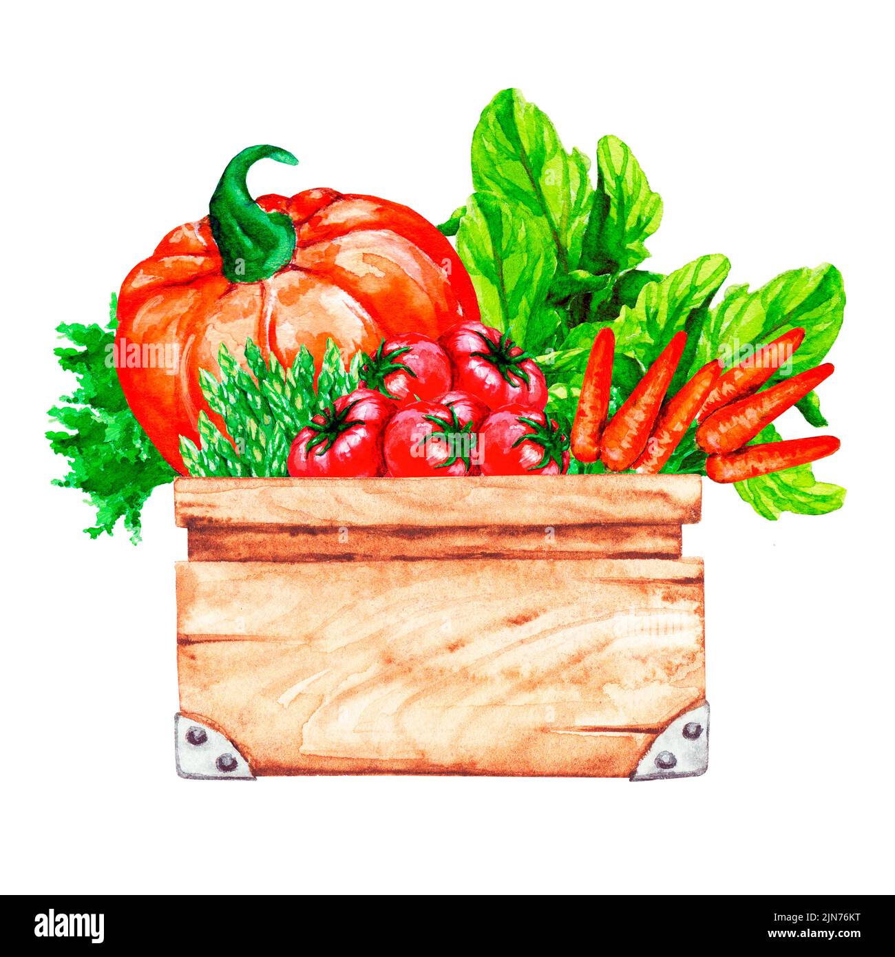 Tomato label design hi-res stock photography and images - Alamy