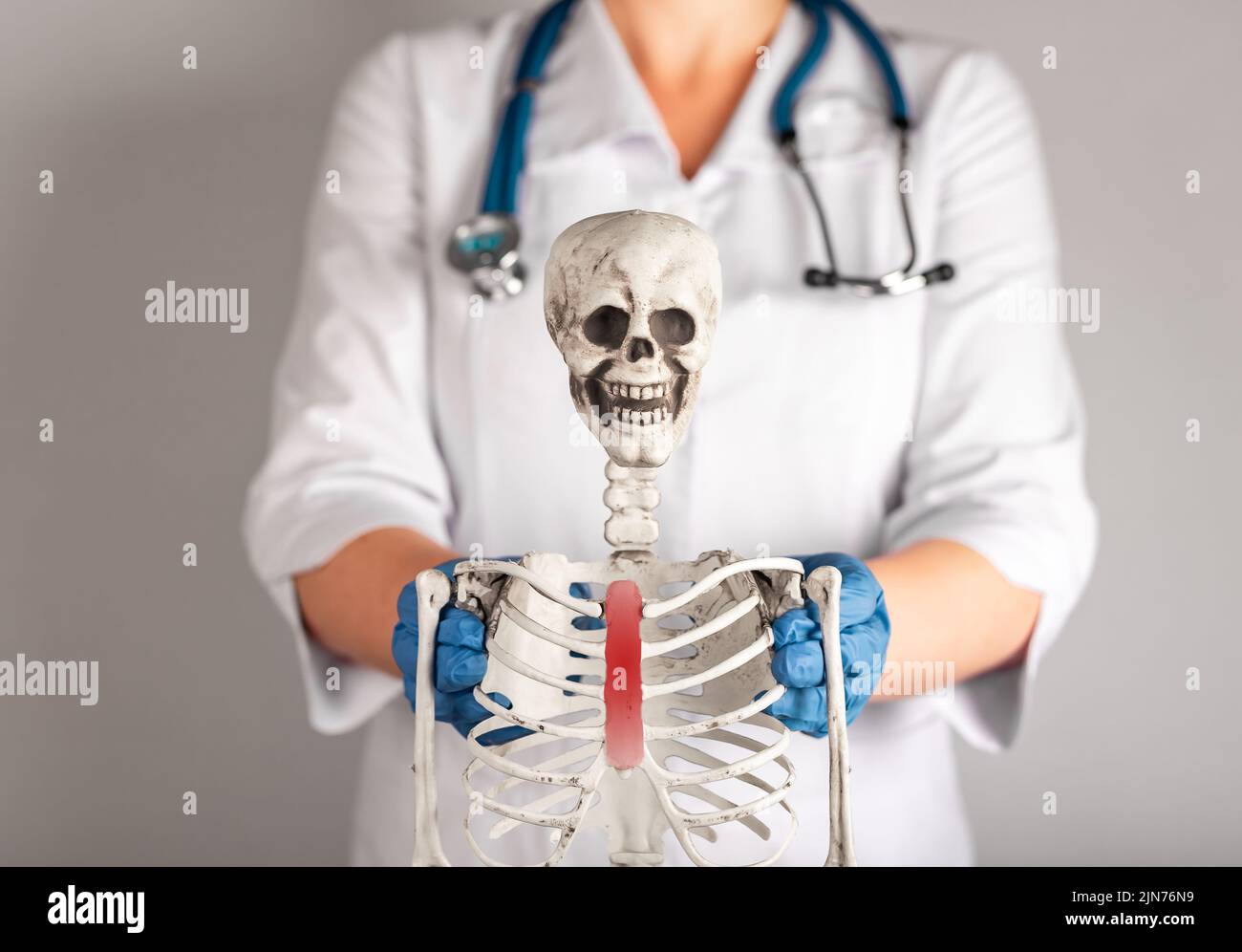 Female chest anatomy hi-res stock photography and images - Alamy