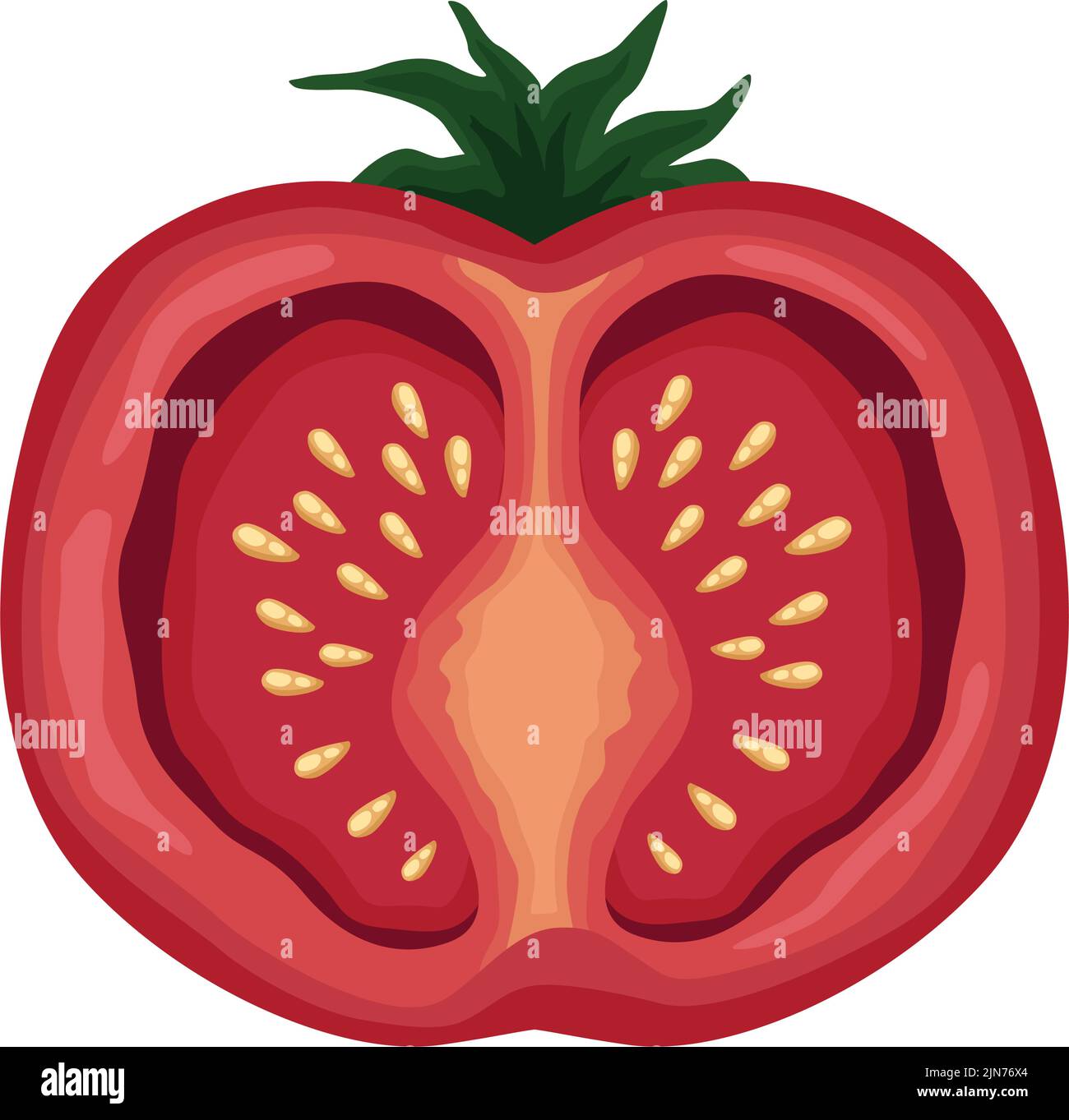 fresh tomato half Stock Vector Image & Art - Alamy