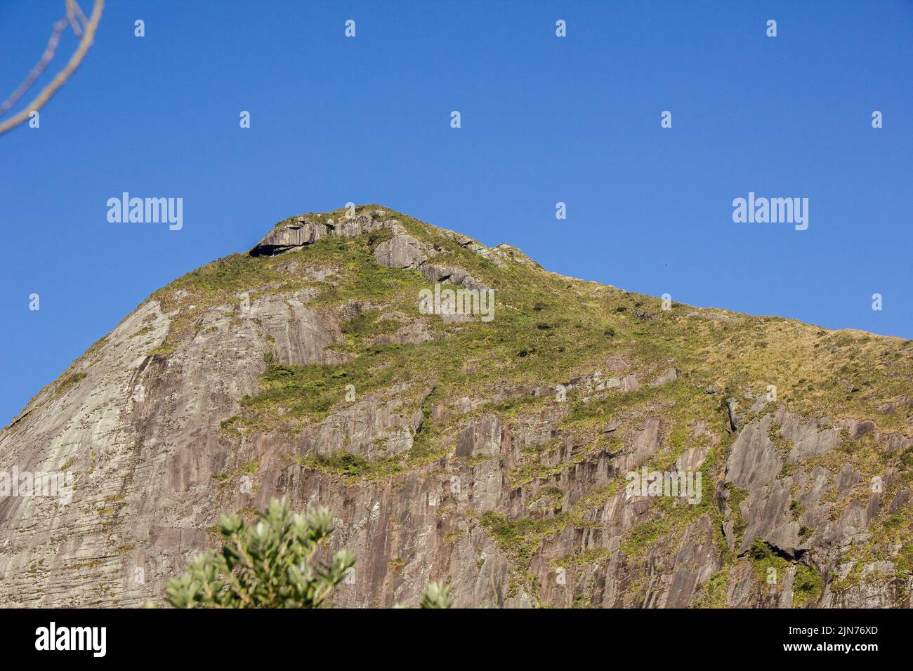 Womans bosom hi-res stock photography and images - Alamy