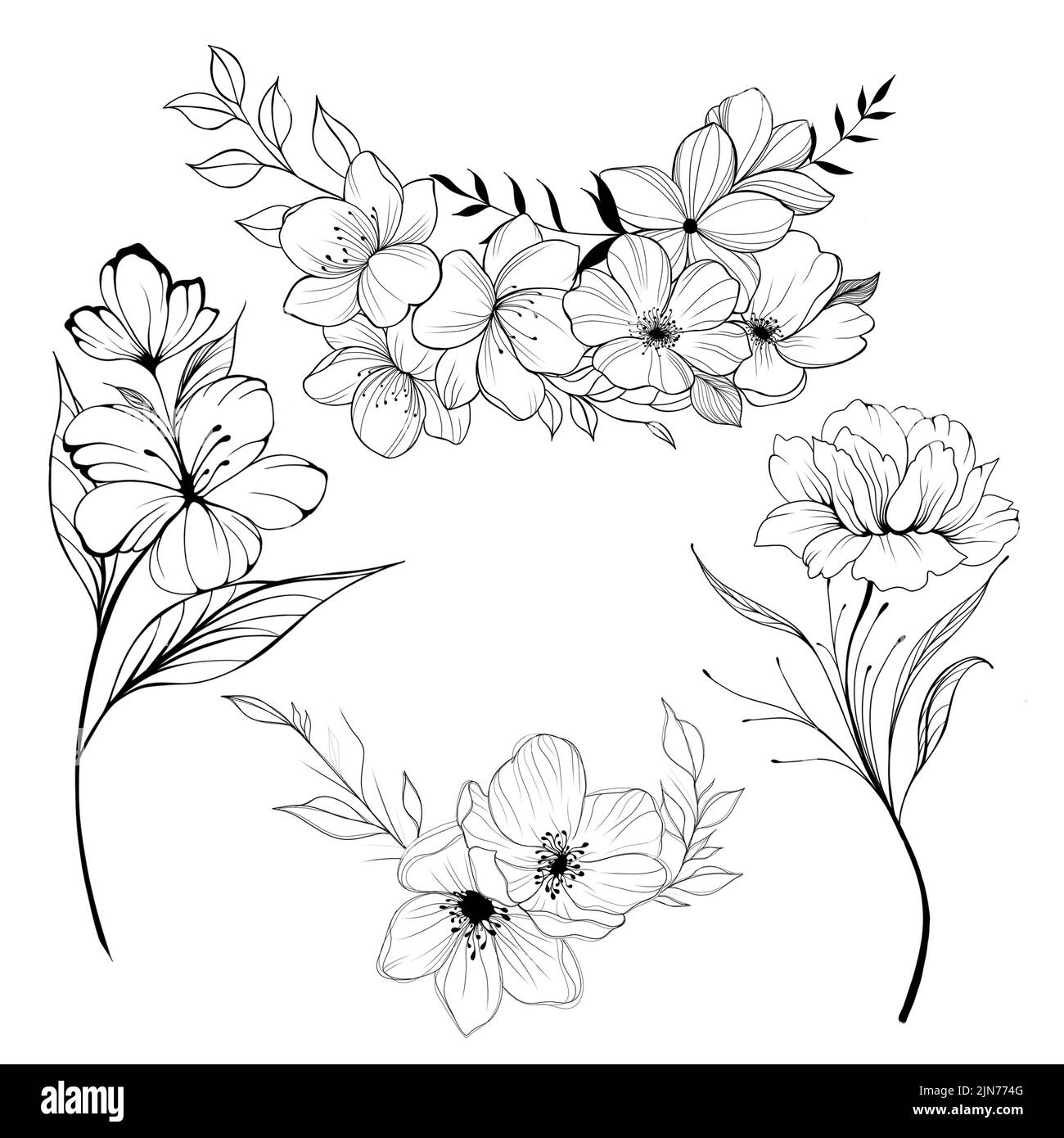 Big set Flowers Periwinkle. Hand drawing. Outline. On a white ...