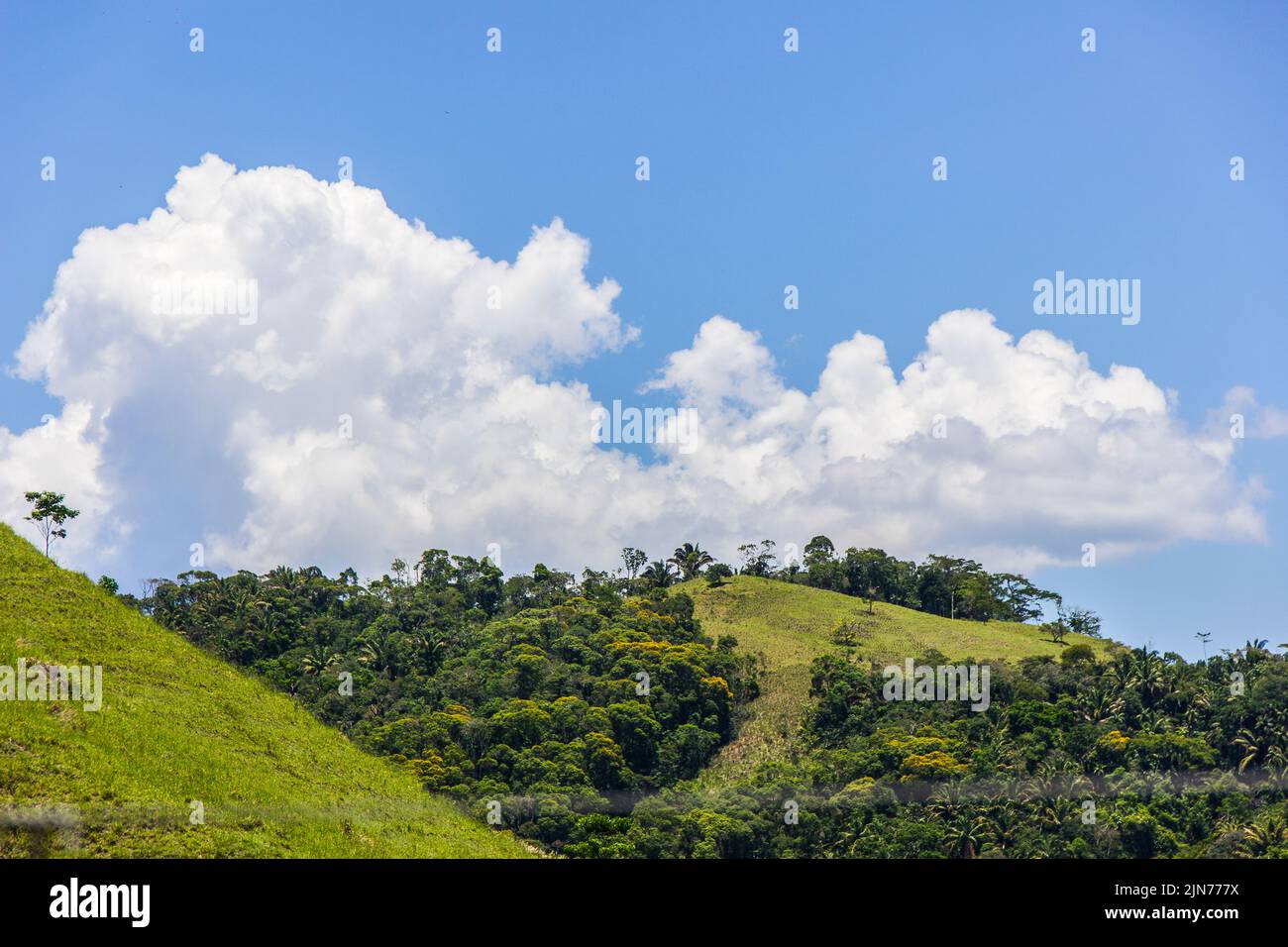 Skydiving in brazil hi-res stock photography and images - Alamy