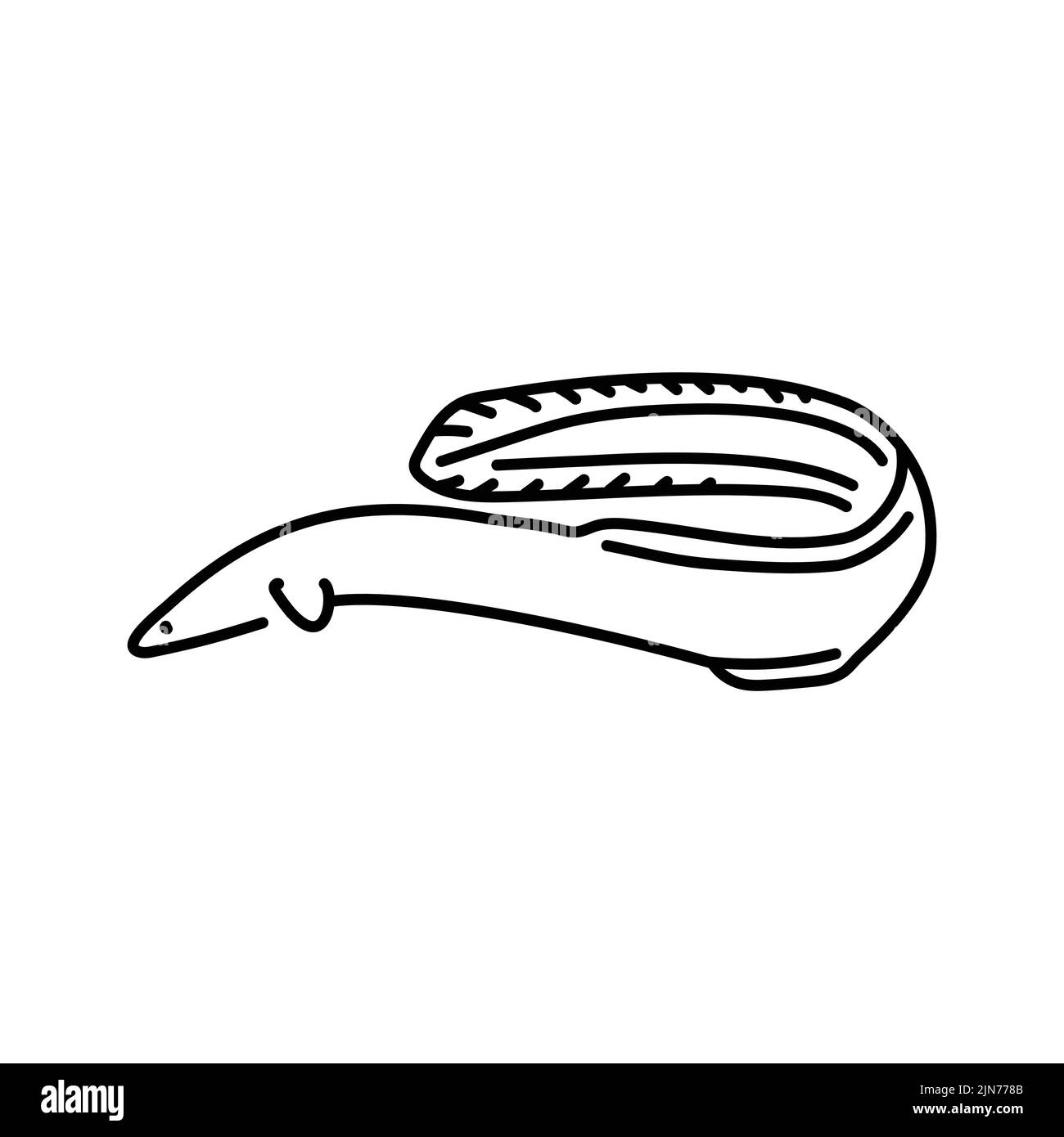 Deep-sea eel color line illustration. Ocean fishes Stock Vector Image ...