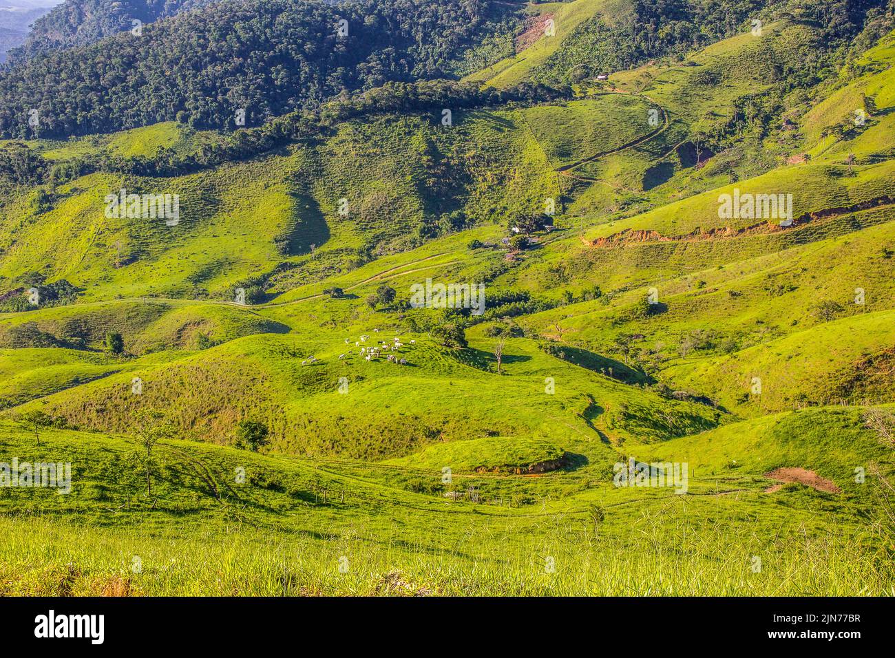 Skydiving in brazil hi-res stock photography and images - Alamy