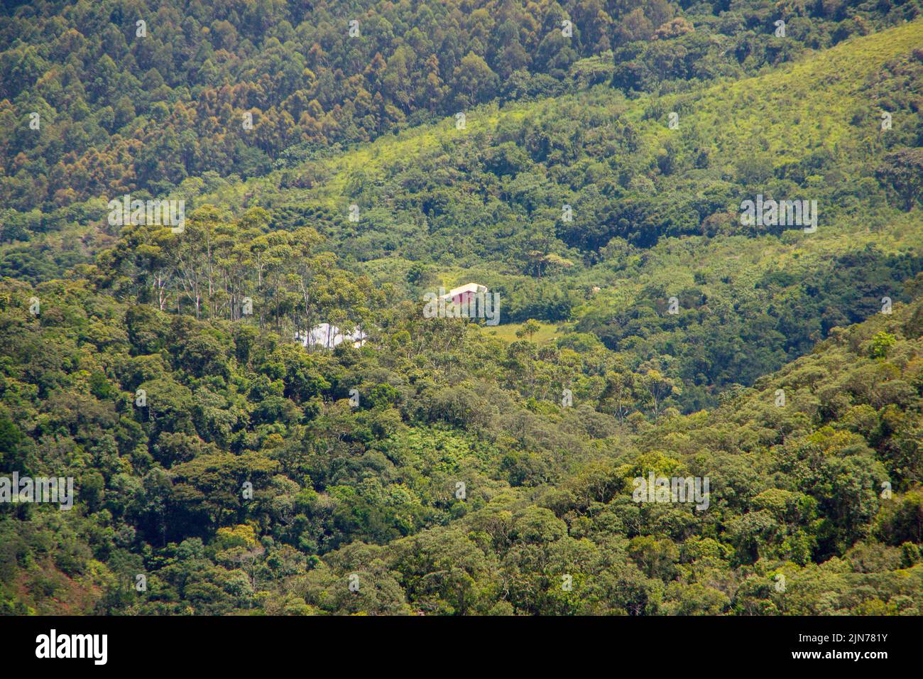 of the thin mountain track in Brazil Stock Photo - Alamy