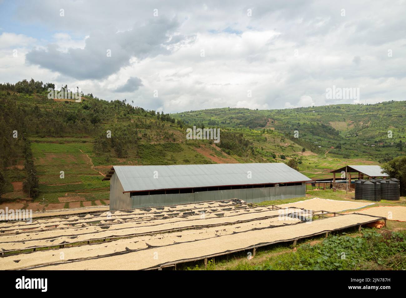 Drying racks and warehouse on the coffee farm Stock Photo - Alamy