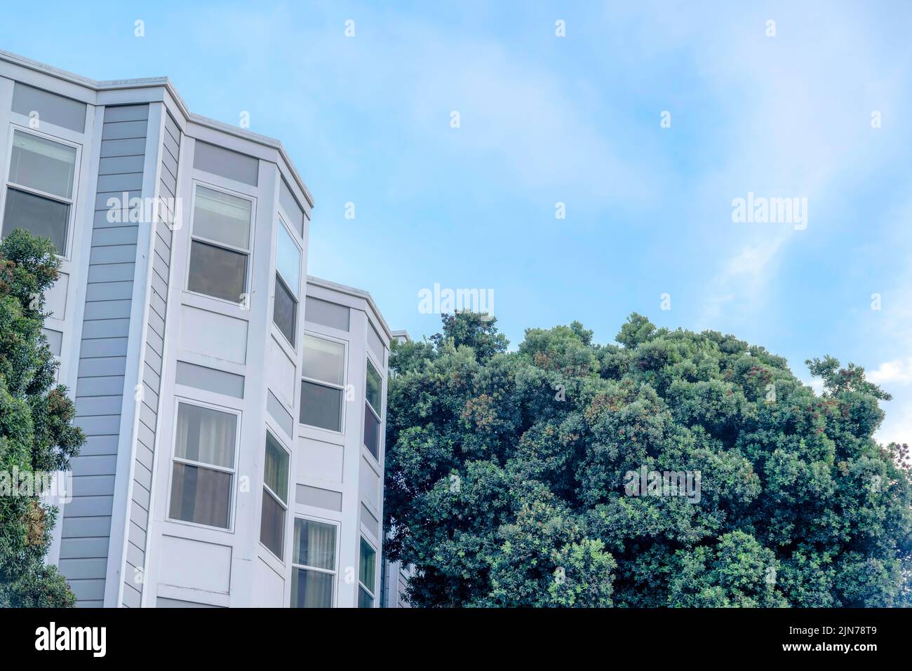 Townhouse exterior with bay windows and trees outdoors in San Francisco ...