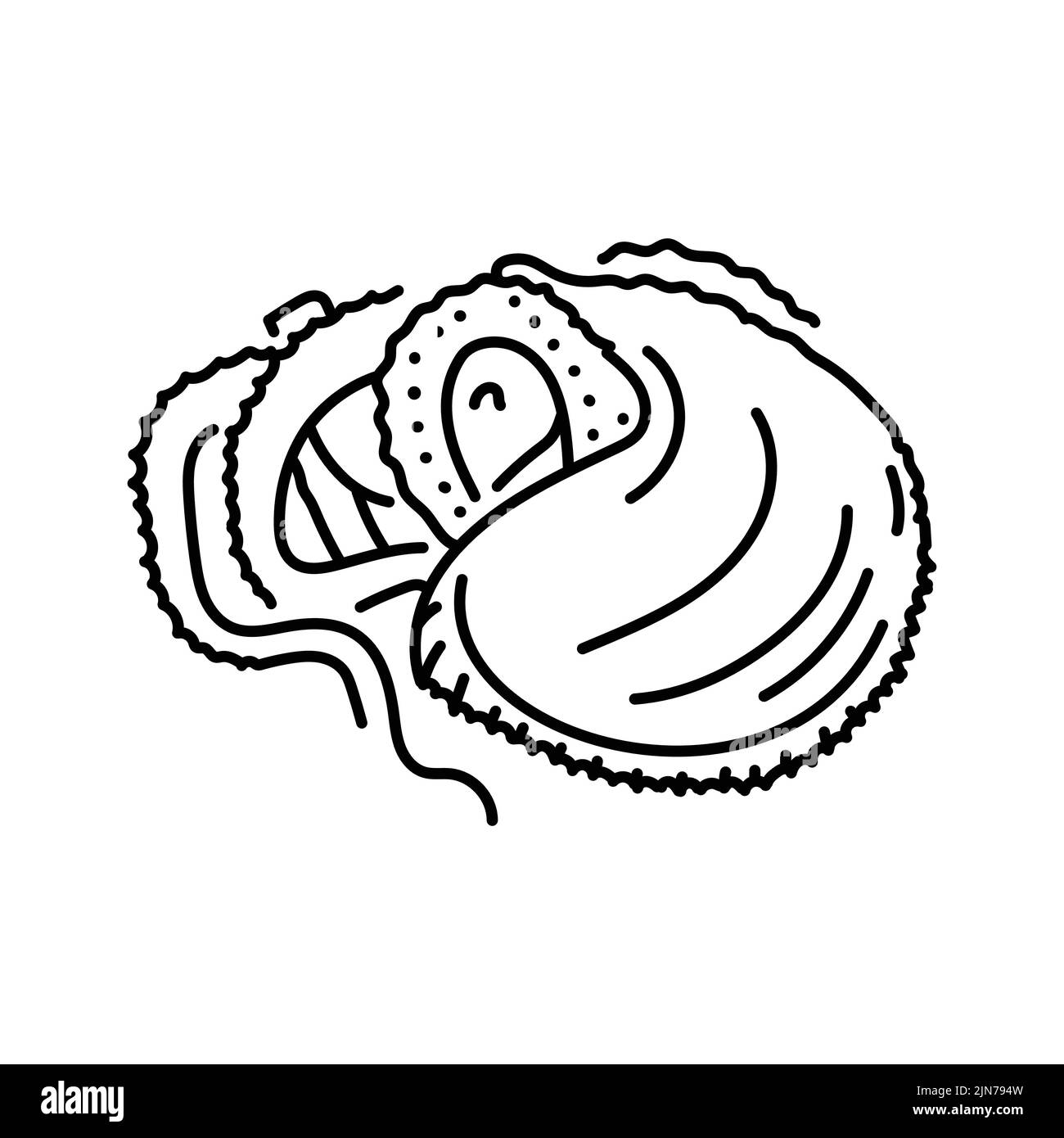 Argonaut color line illustration. Ocean fishes Stock Vector Image & Art ...