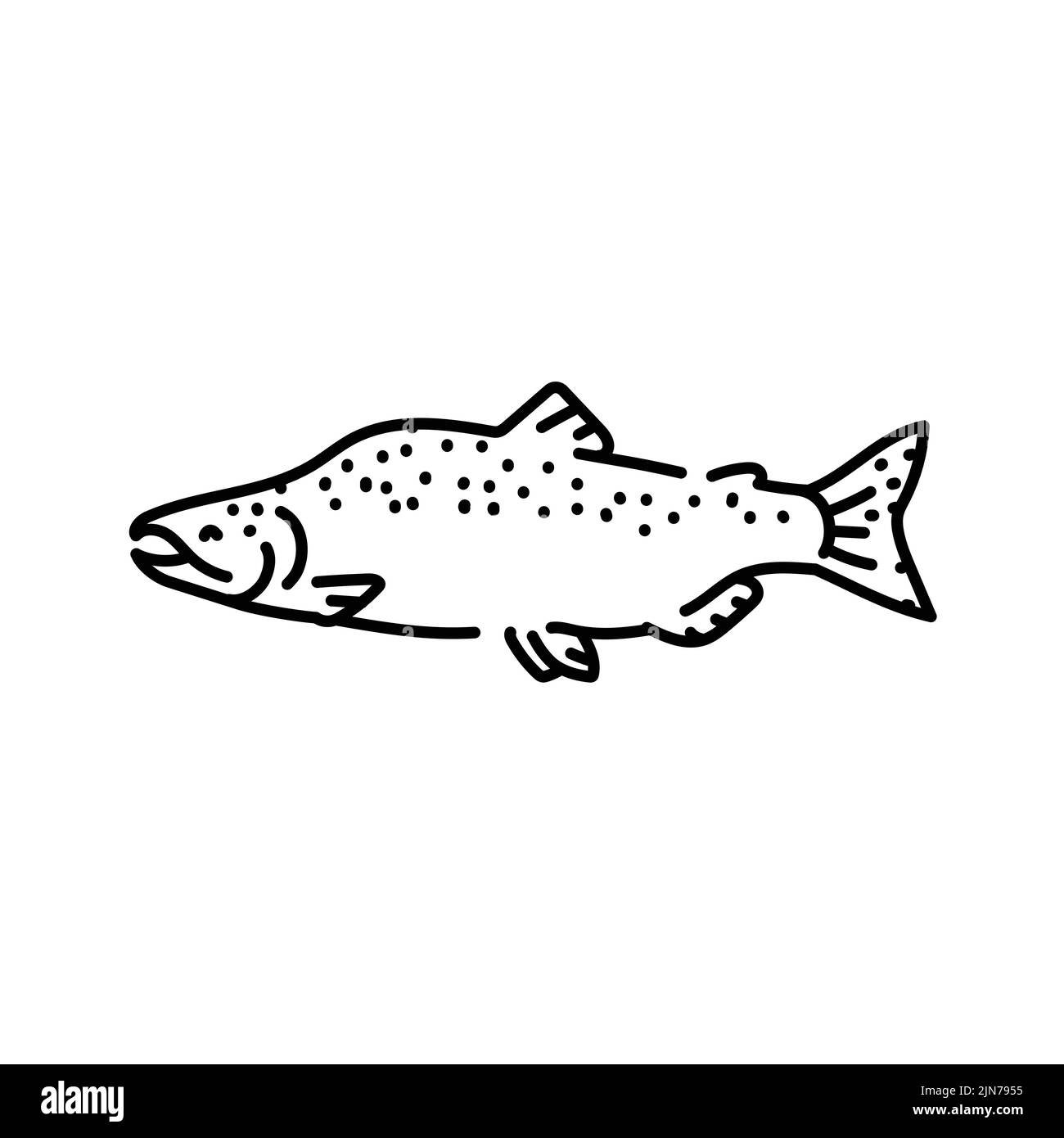 Pink salmon color line illustration. Ocean fishes Stock Vector Image ...