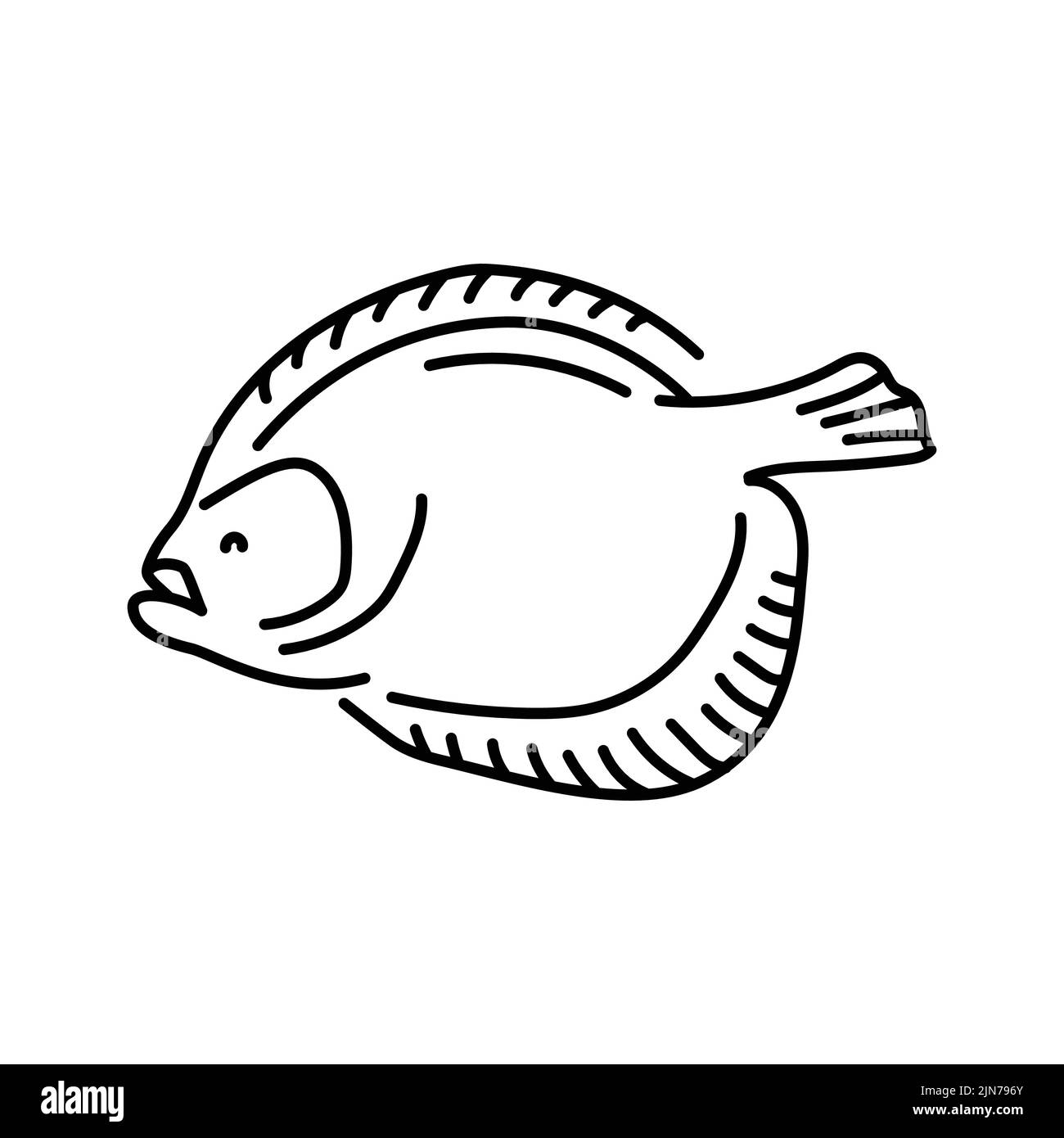 Flounder color line illustration. Ocean fishes Stock Vector Image & Art ...