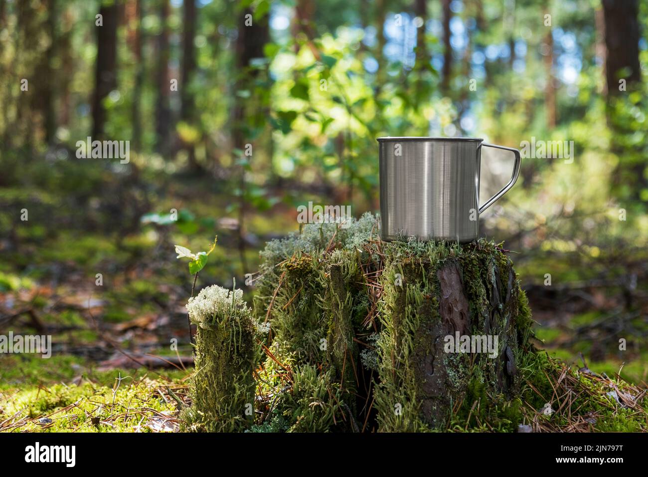 Metal tourist mug with hot drink stands on stump in the forest Stock ...
