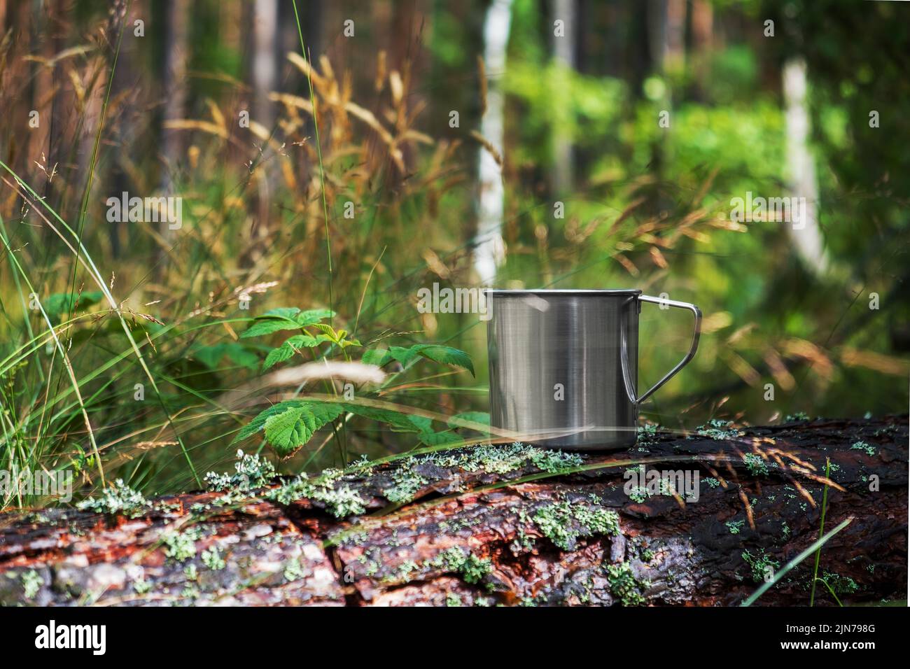 Metal tourist mug with hot drink stands on tree trunk in the forest ...