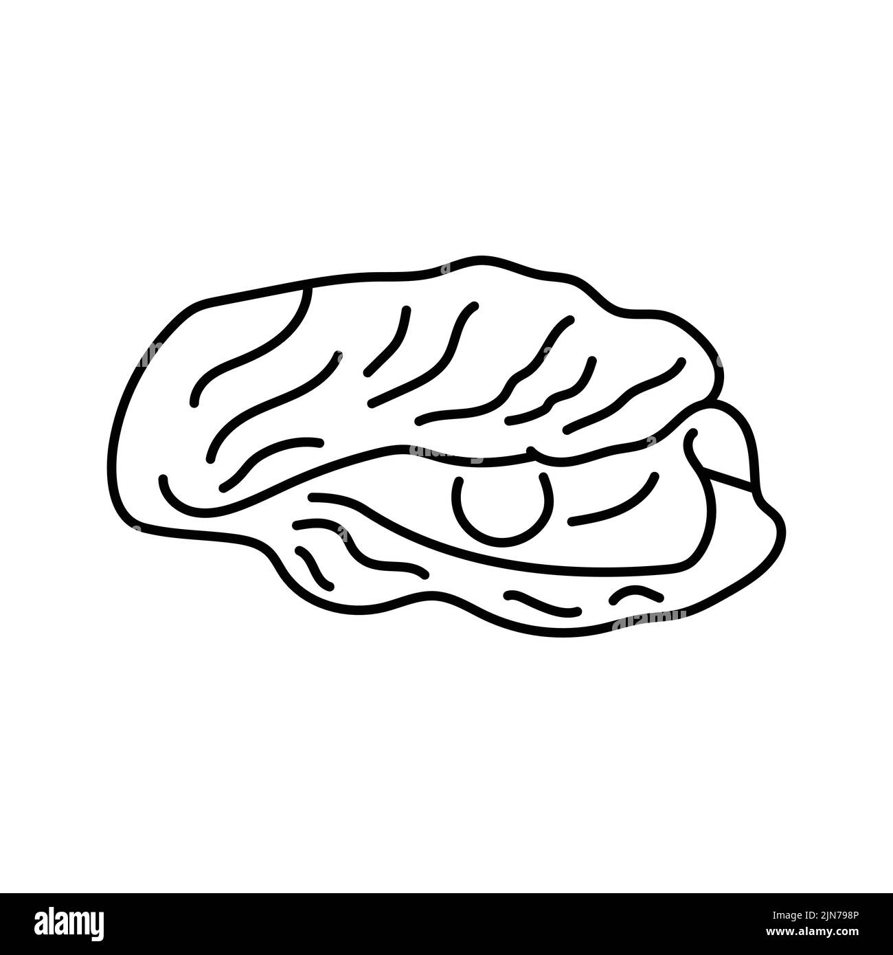 Sea stalk color line illustration. Ocean fishes Stock Vector Image ...