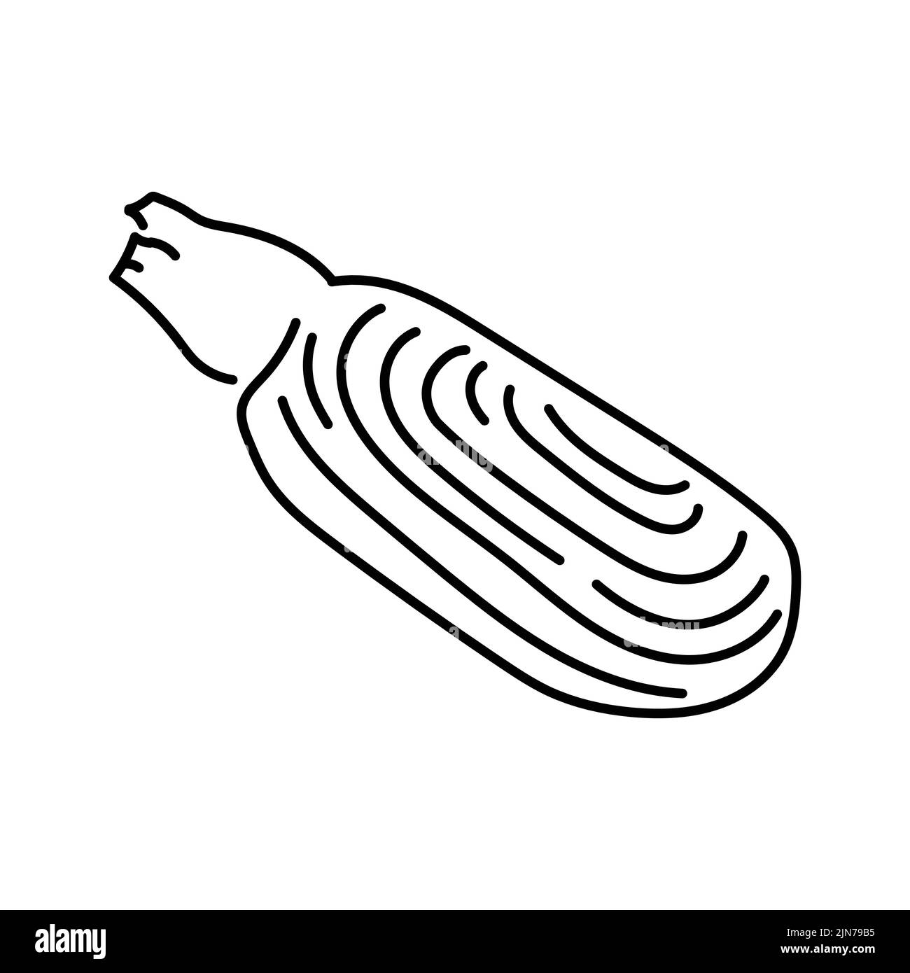 Sea stalk color line illustration. Ocean fishes Stock Vector Image ...