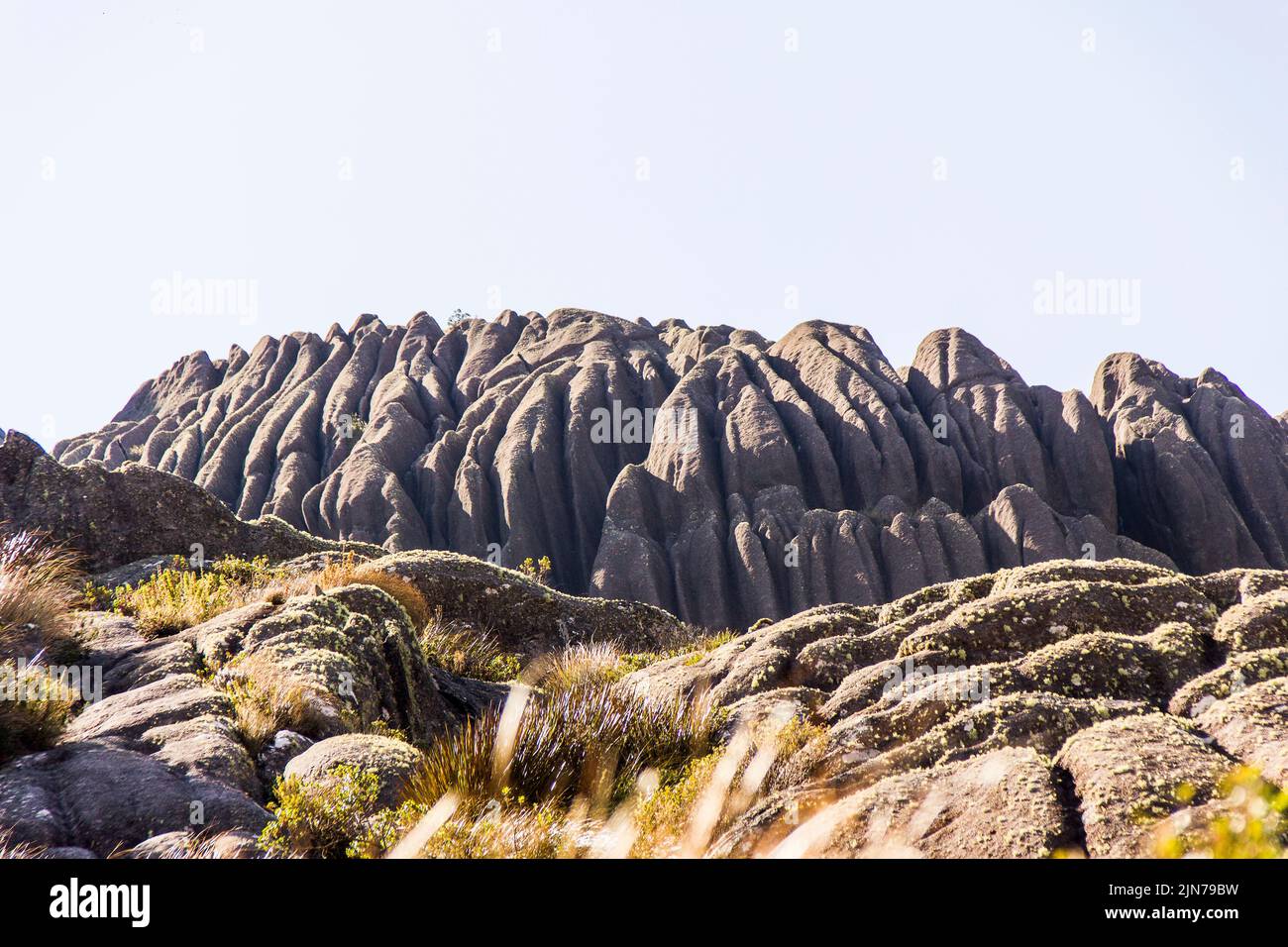 peak of black needles Itatiaia Stock Photo - Alamy