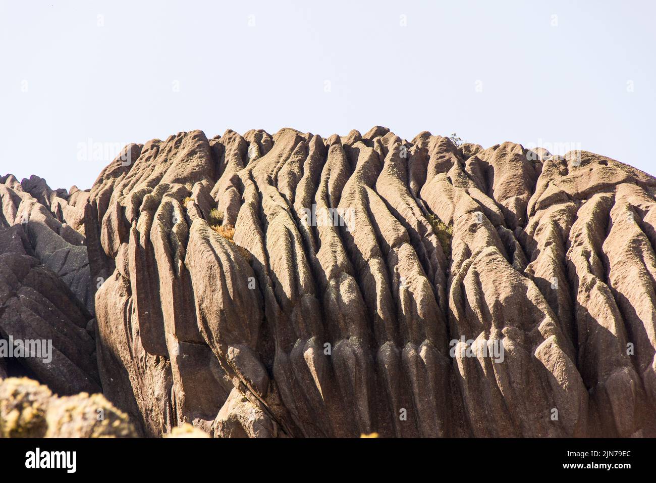 peak of black needles Itatiaia Stock Photo - Alamy