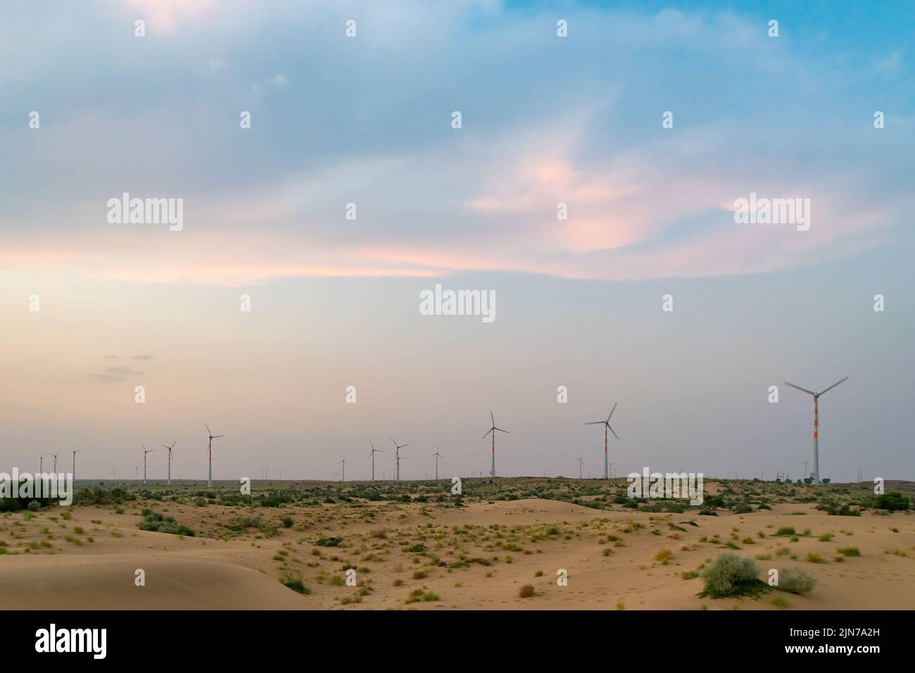 Plants of thar hi-res stock photography and images - Alamy