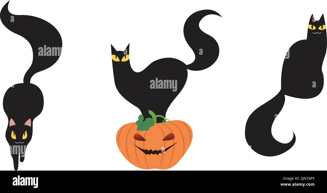 Set of three halloween black cats vector Spooky witch cat with evil ...