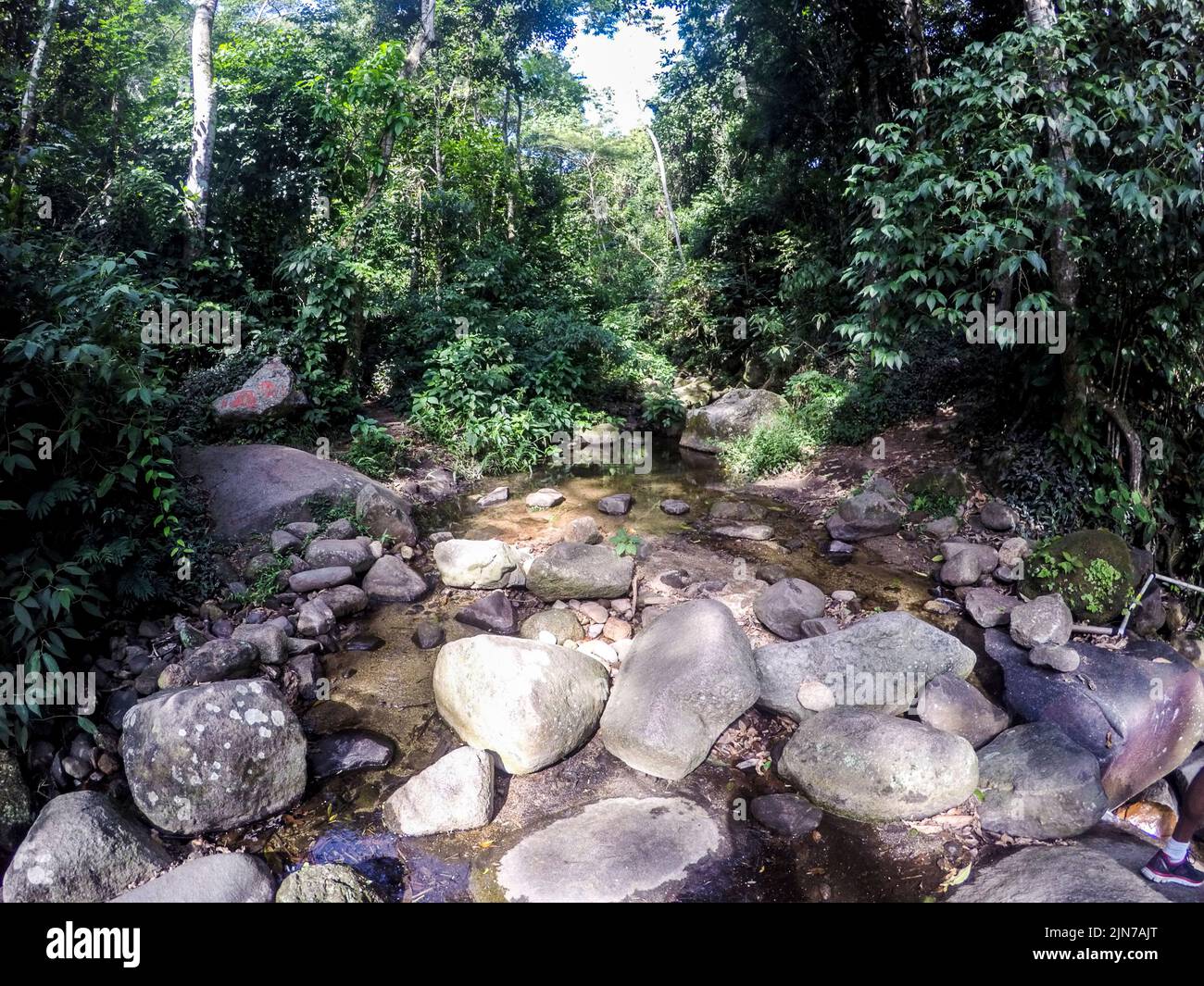 View of the trail between the neighborhoods of jacarepagua and Big ...