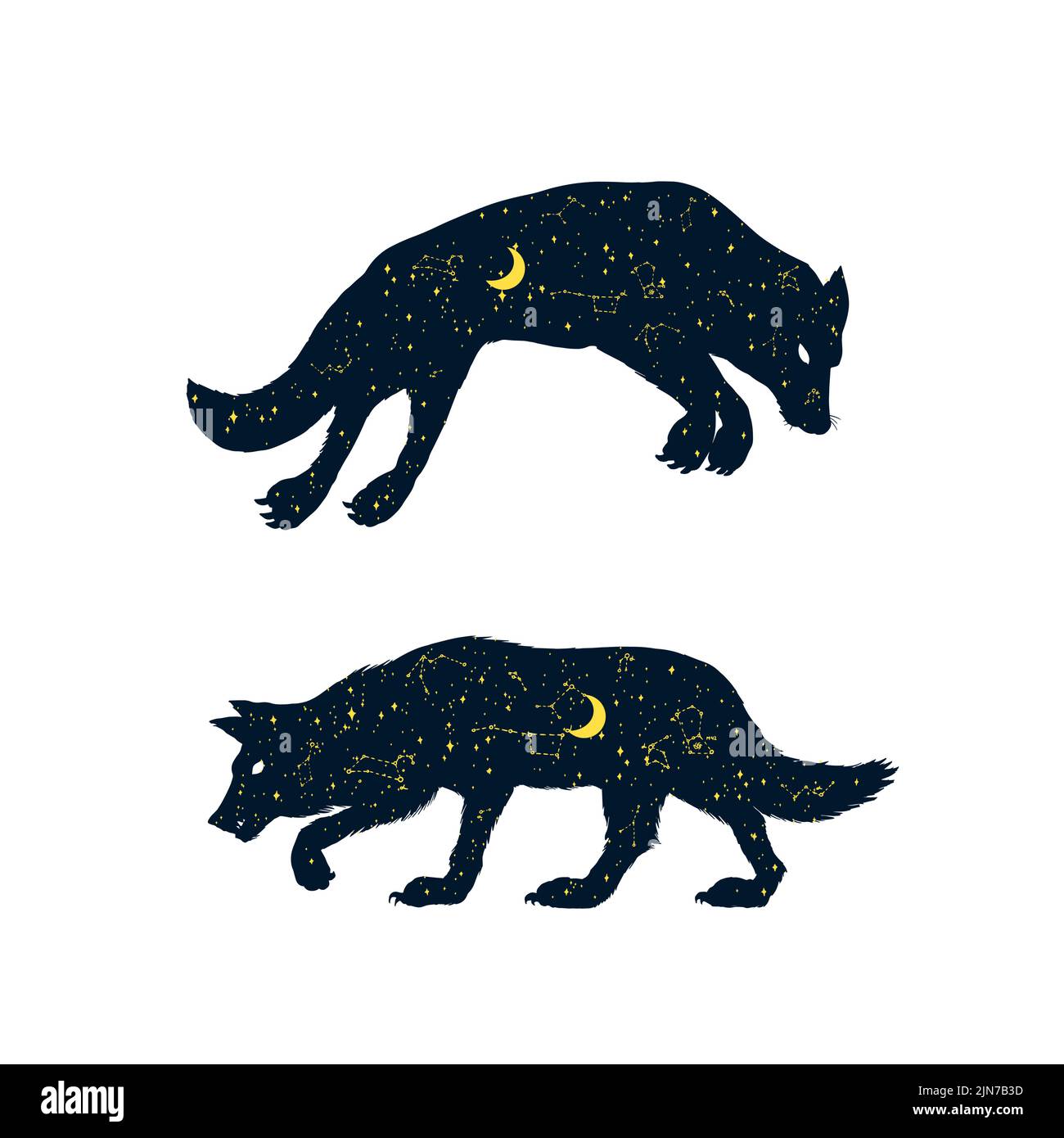 The wolf howling at the moon. Silhouette of Magical animal with ...