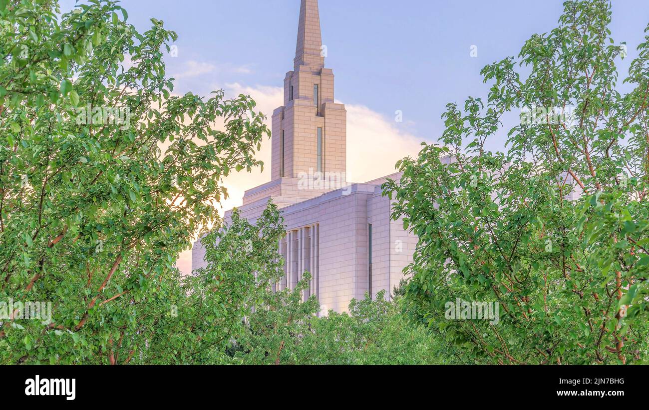 Panorama Puffy clouds at sunset Concrete path with columnar trees on ...