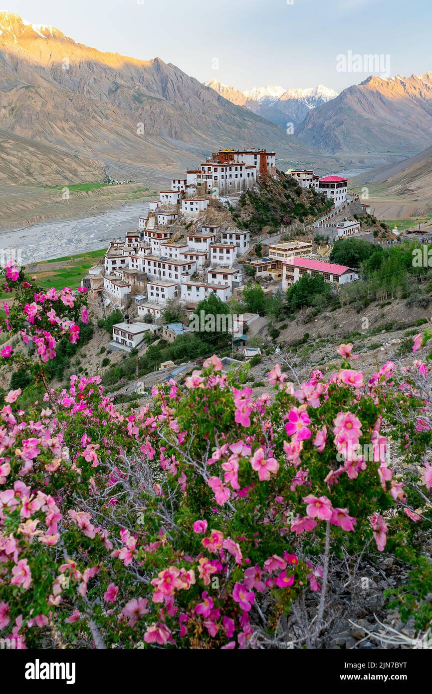 A vertical shot of the Kee Gompa (Kee Monastery) in Spiti Valley, India ...