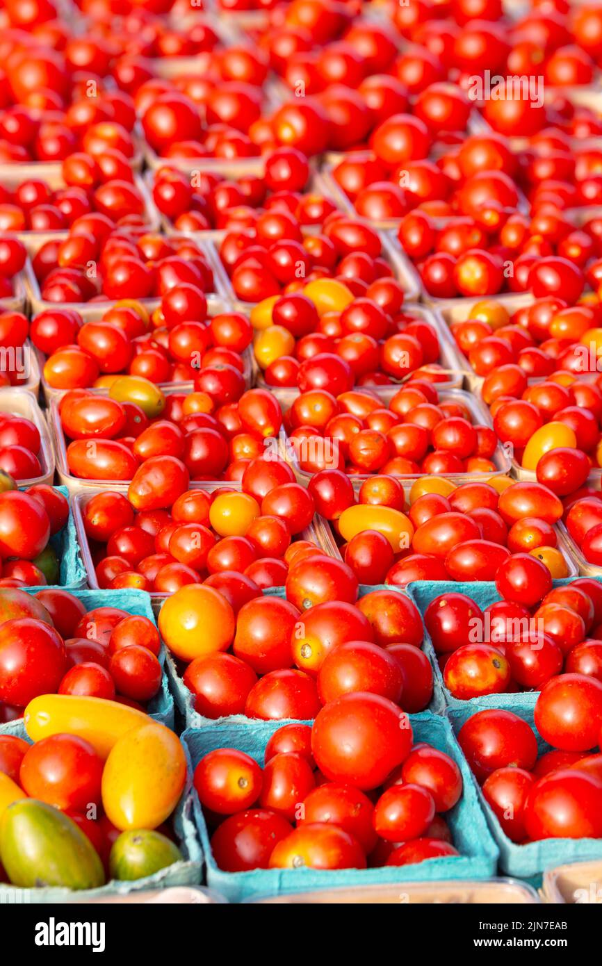 Abundance of red and yellow cherry tomatoes at a local outdoor market ...