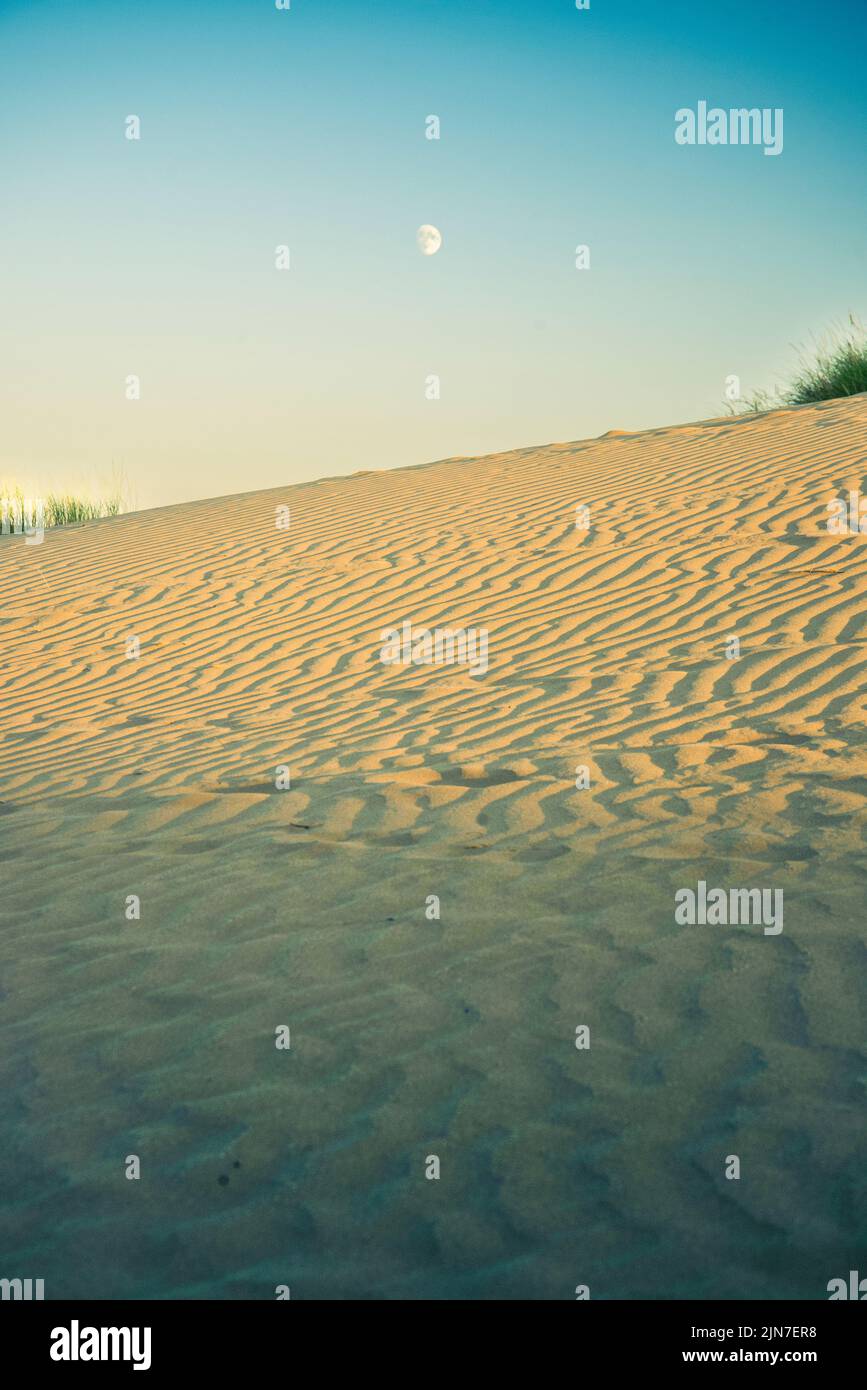 Sand Dunes in a Summer Evening- Braunton Burrows North Devon, UK, Large dune ecosystem Stock ...