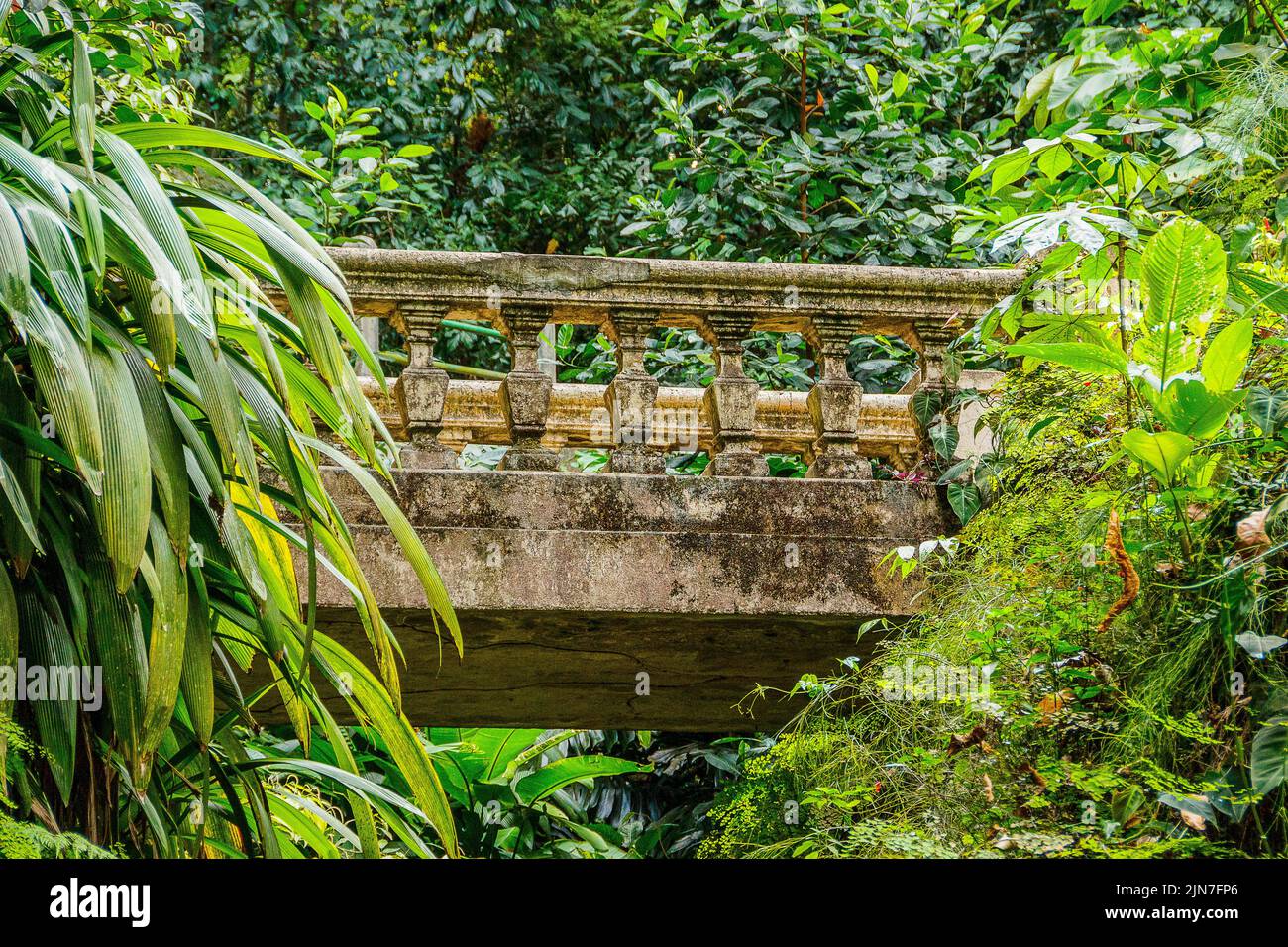 Park lage rio de janeiro Stock Photo - Alamy