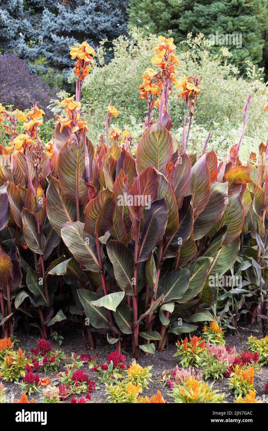 Warm colors hi-res stock photography and images - Alamy