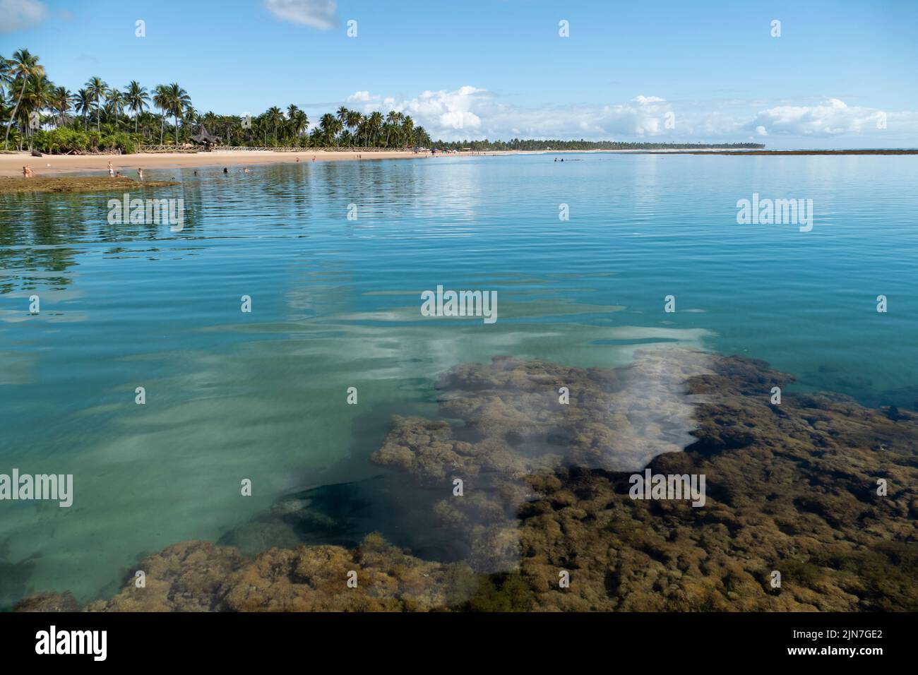 Idyllic beach with crystal clear water in Taipus de Fora, Marau, State ...