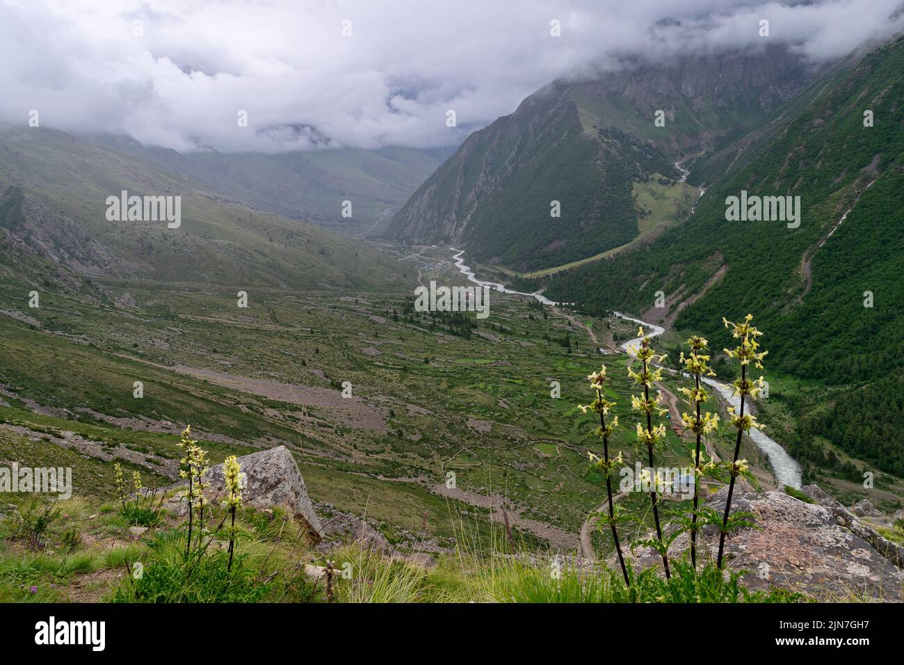 A scenic view of the Chitkul village, Sangla Valley, India Stock Photo ...
