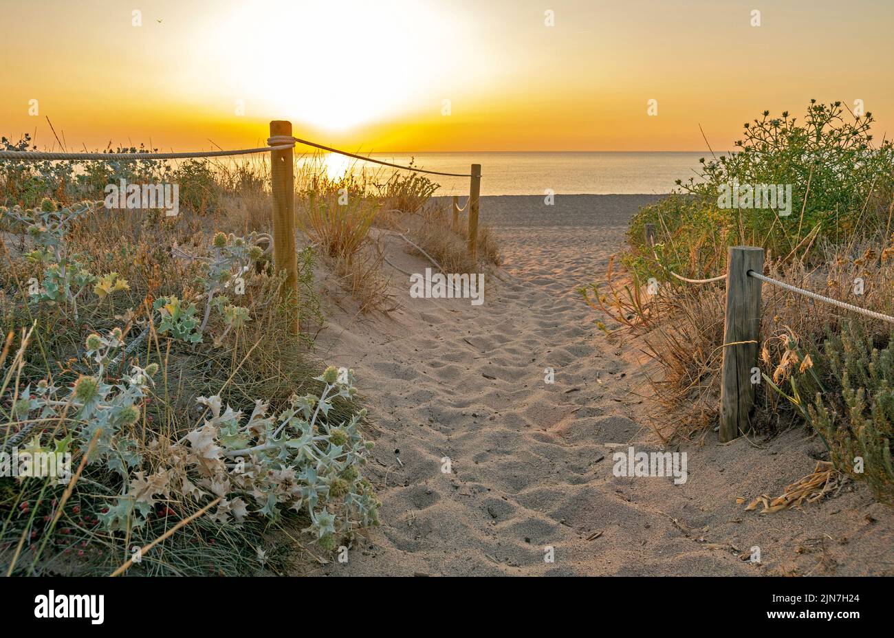 Sunrise in Pals, sandy beach and wild dune in Pals, Catalonia, Spain ...
