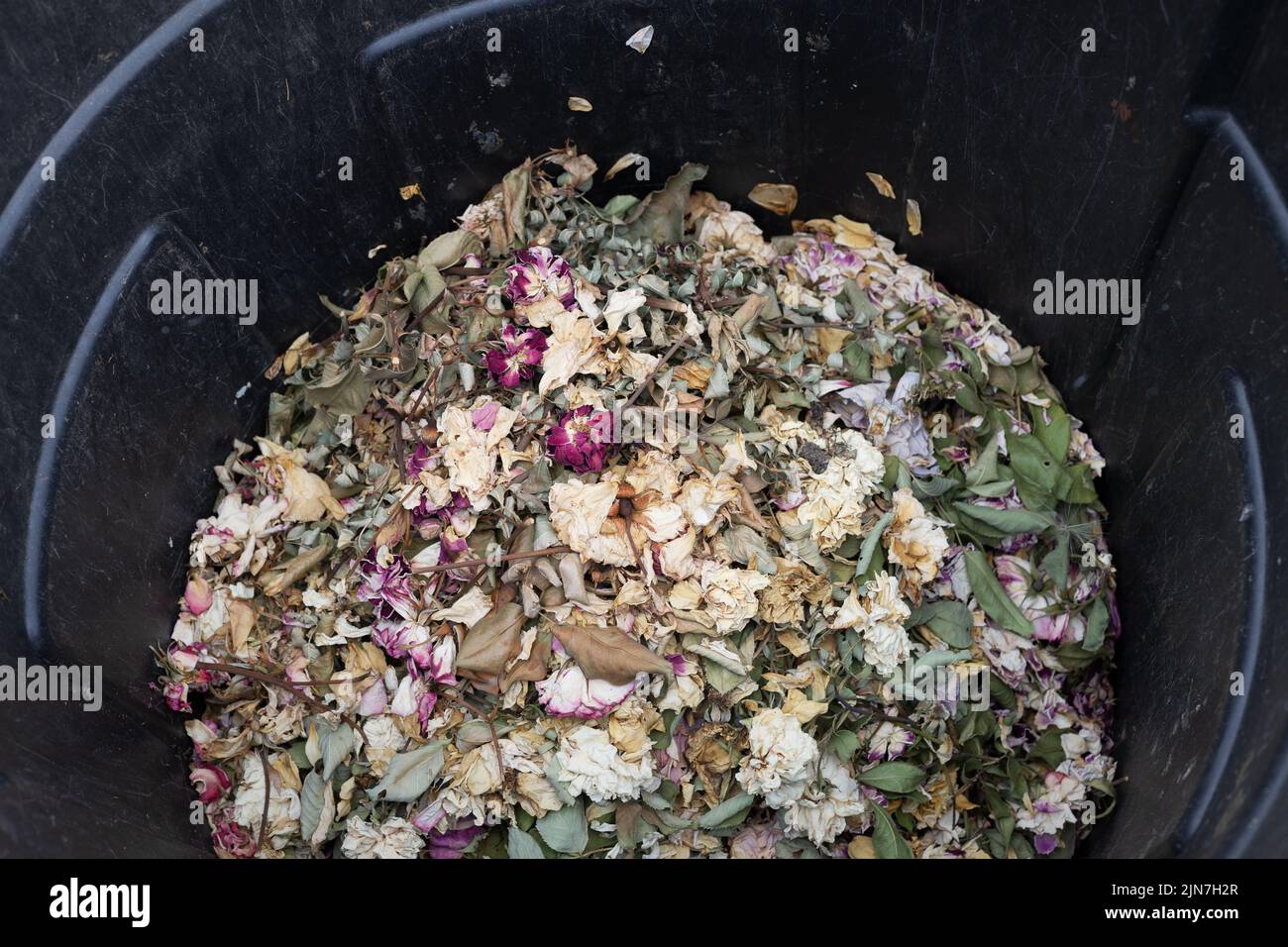 Flower garden waste in a bin Stock Photo - Alamy