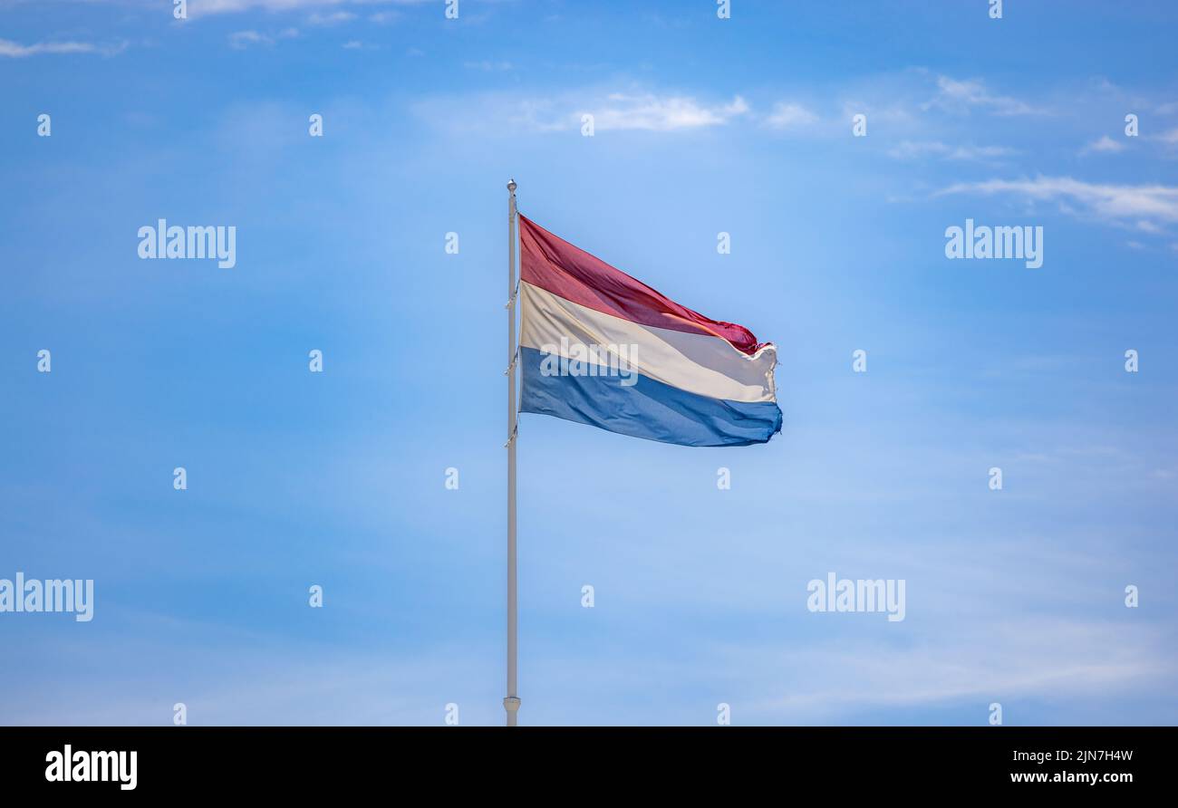 Dutch flag waving in a clear blue sky Stock Photo - Alamy
