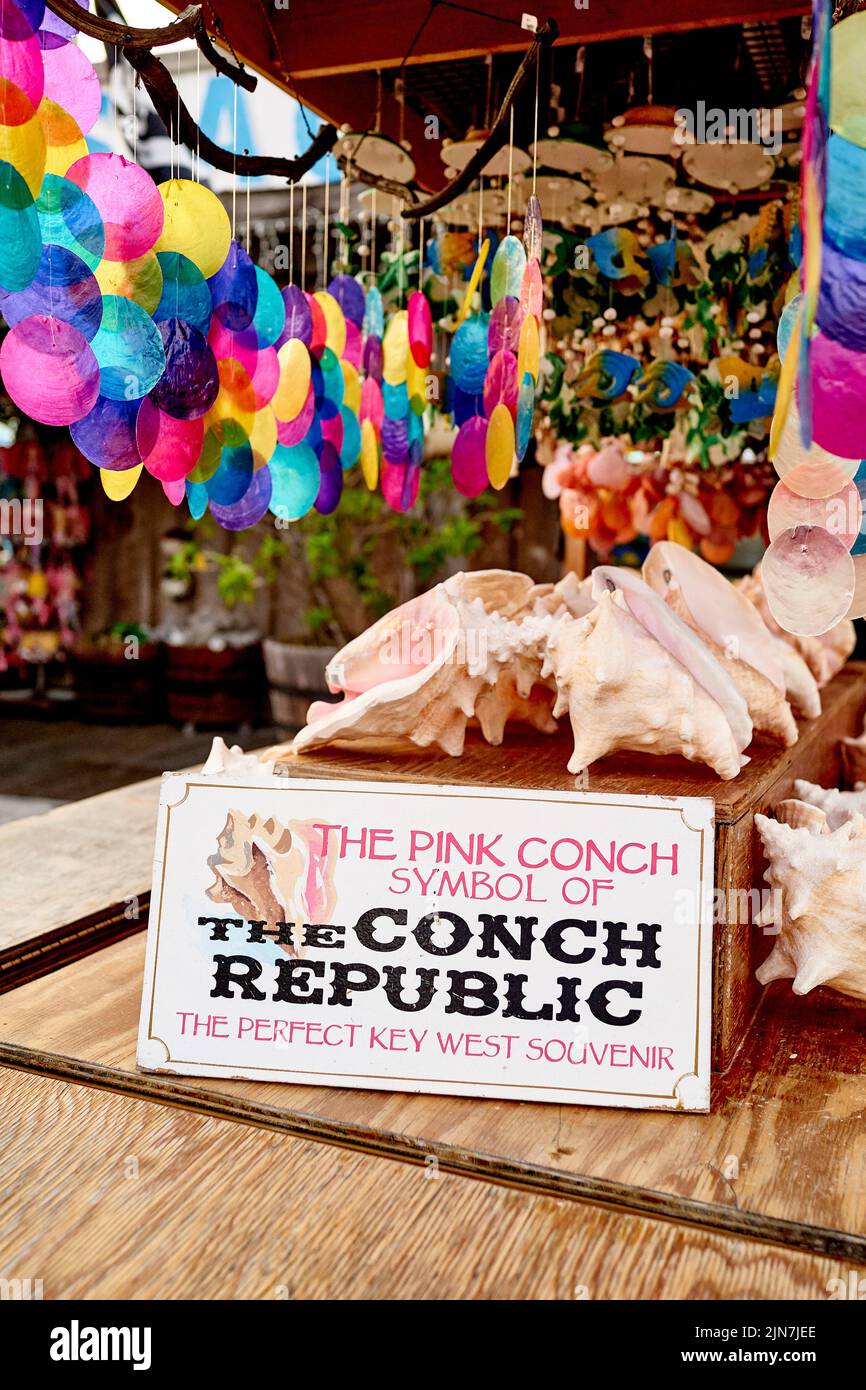 Florida keys sea shell souvenir hi-res stock photography and images - Alamy