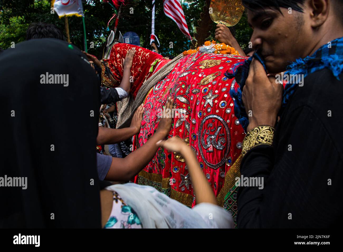 Bangladeshi Shia Muslims march and carry the flags and Tazia during a ...