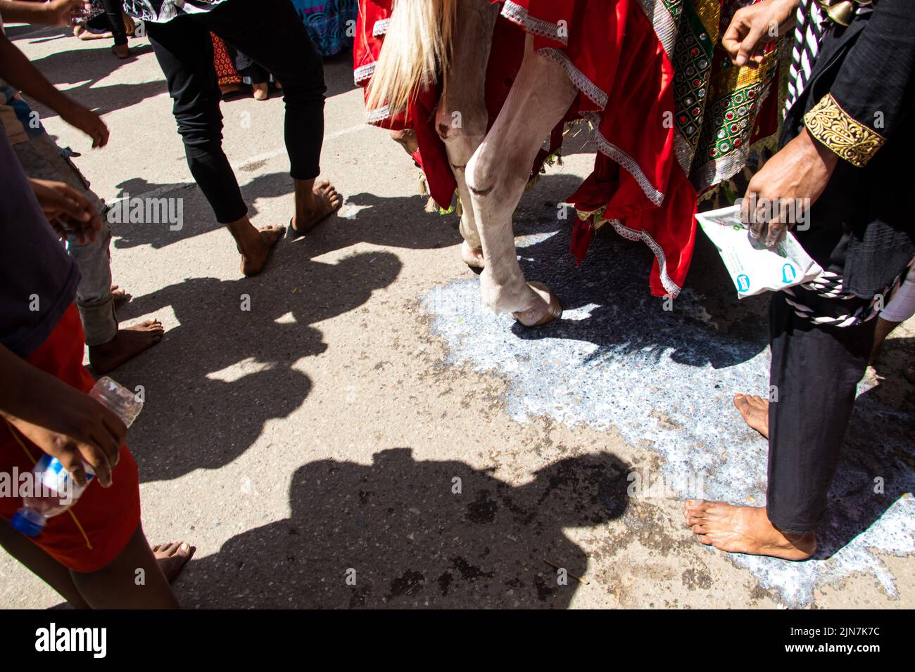 Bangladeshi Shia Muslims march and carry the flags and Tazia during a ...