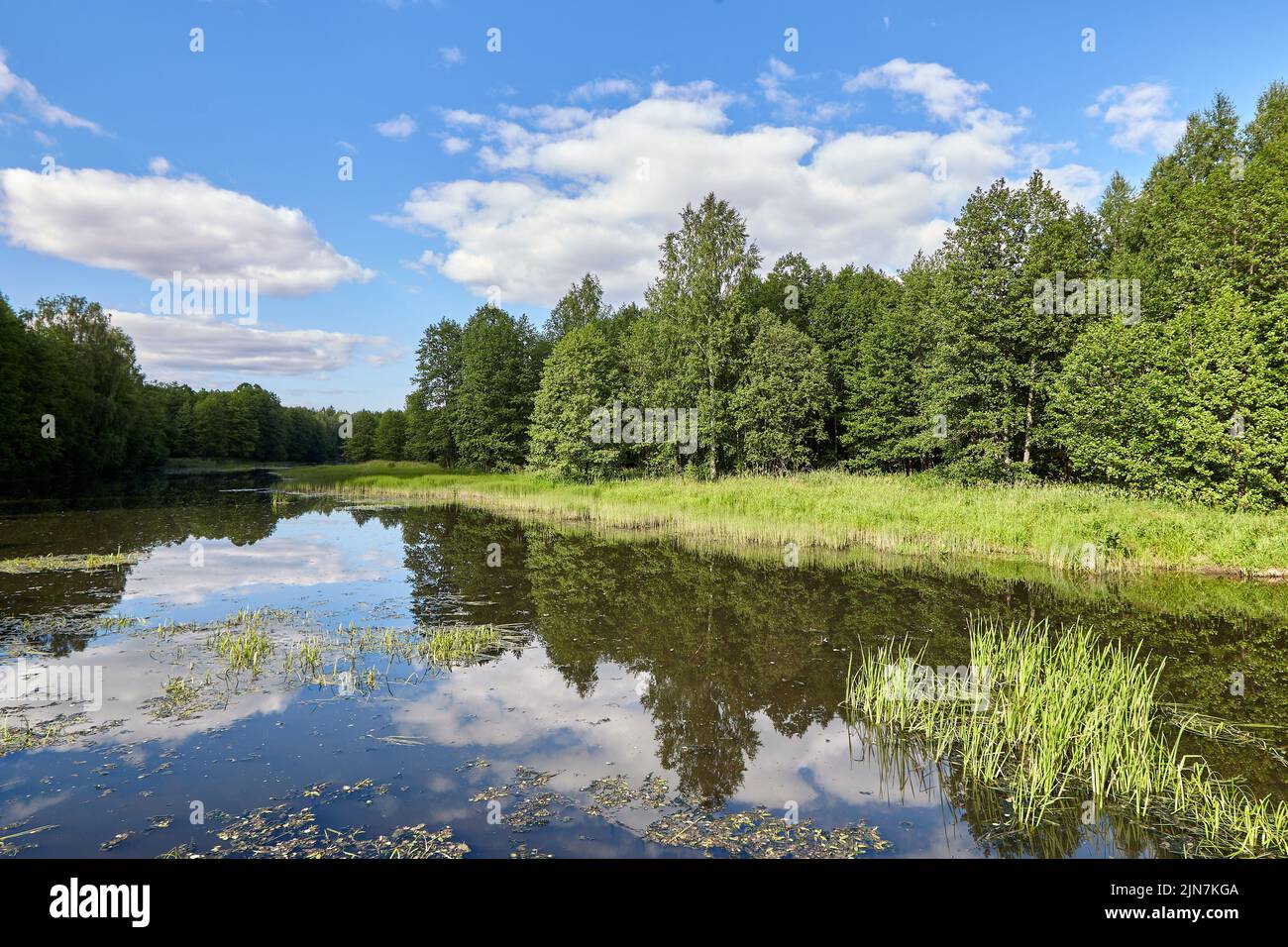 Beautiful summer landscape of river at sunny day with sky and clouds ...