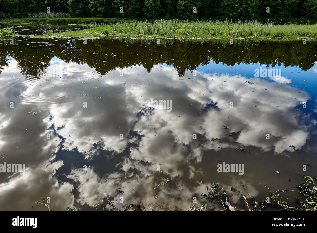 Beautiful summer landscape of river at sunny day with sky and clouds reflection in the water ...