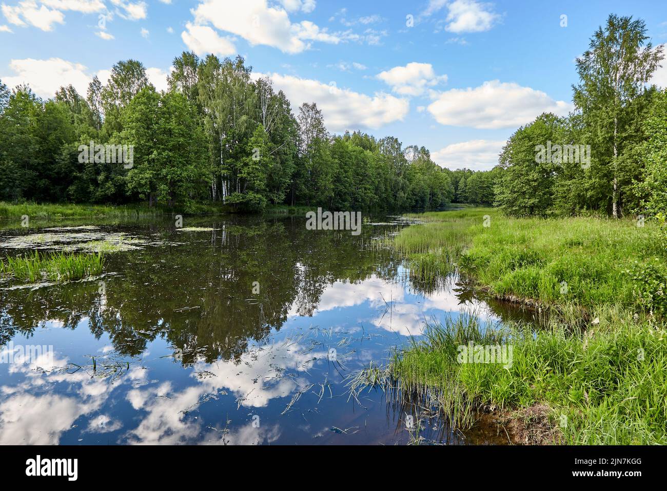 Beautiful summer landscape of river at sunny day with sky and clouds ...