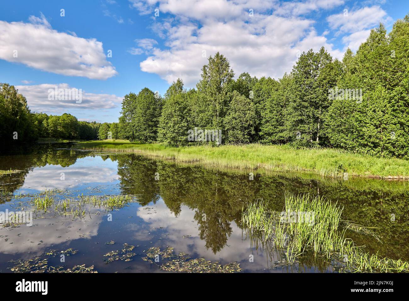 Beautiful summer landscape of river at sunny day with sky and clouds ...