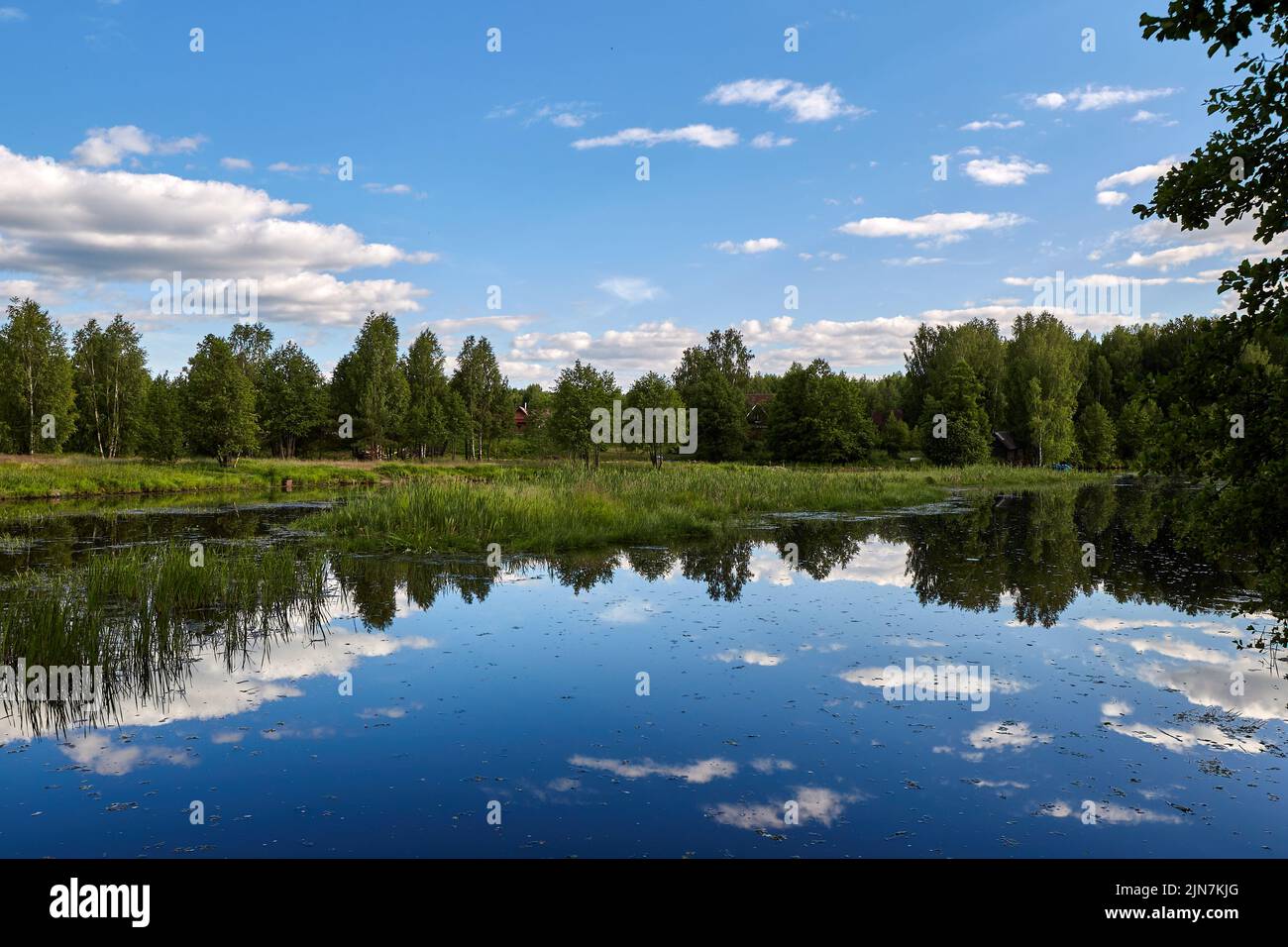 Beautiful summer landscape of river at sunny day with sky and clouds ...