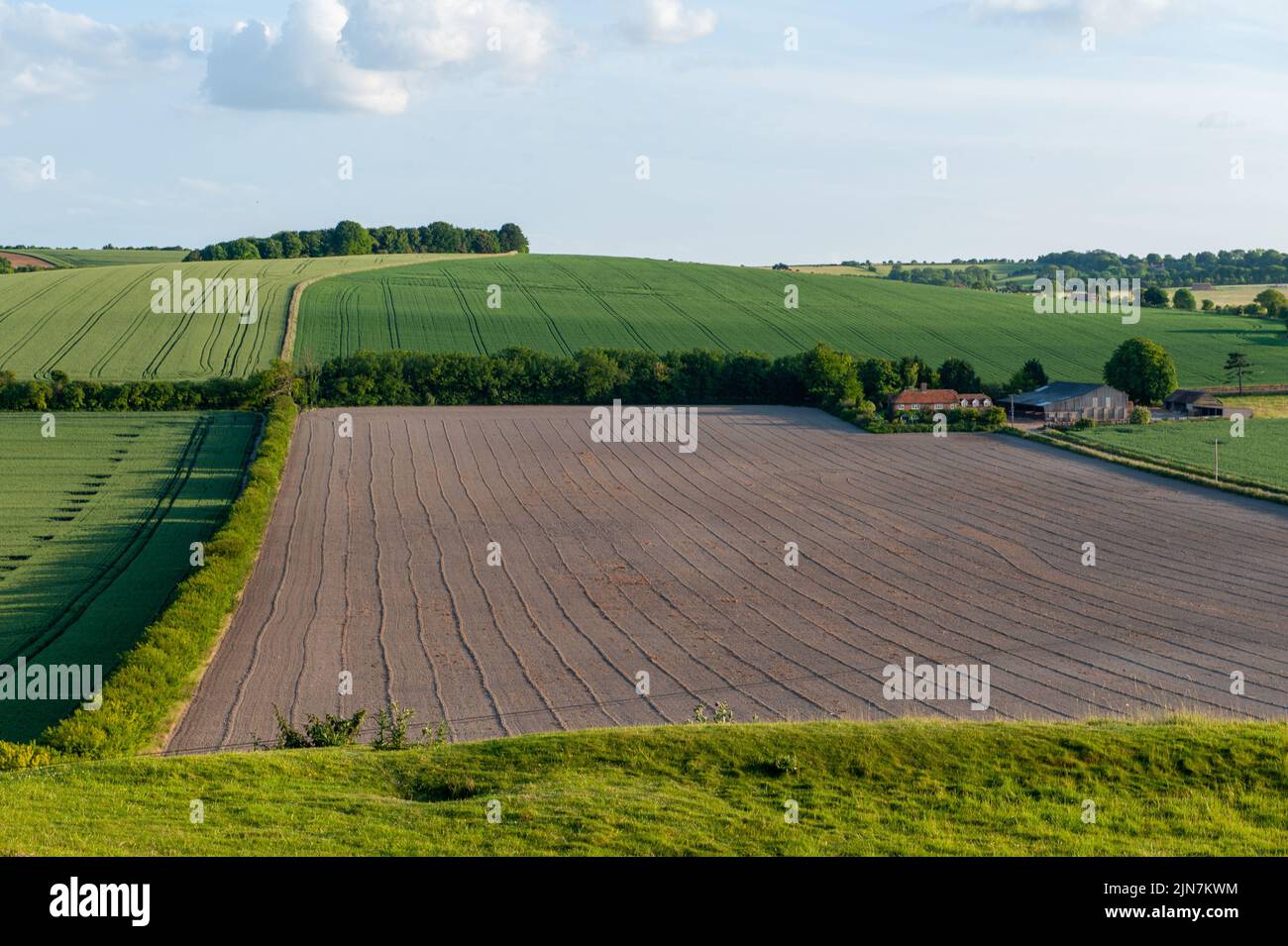 Rolling Oxfordshire fields Stock Photo - Alamy