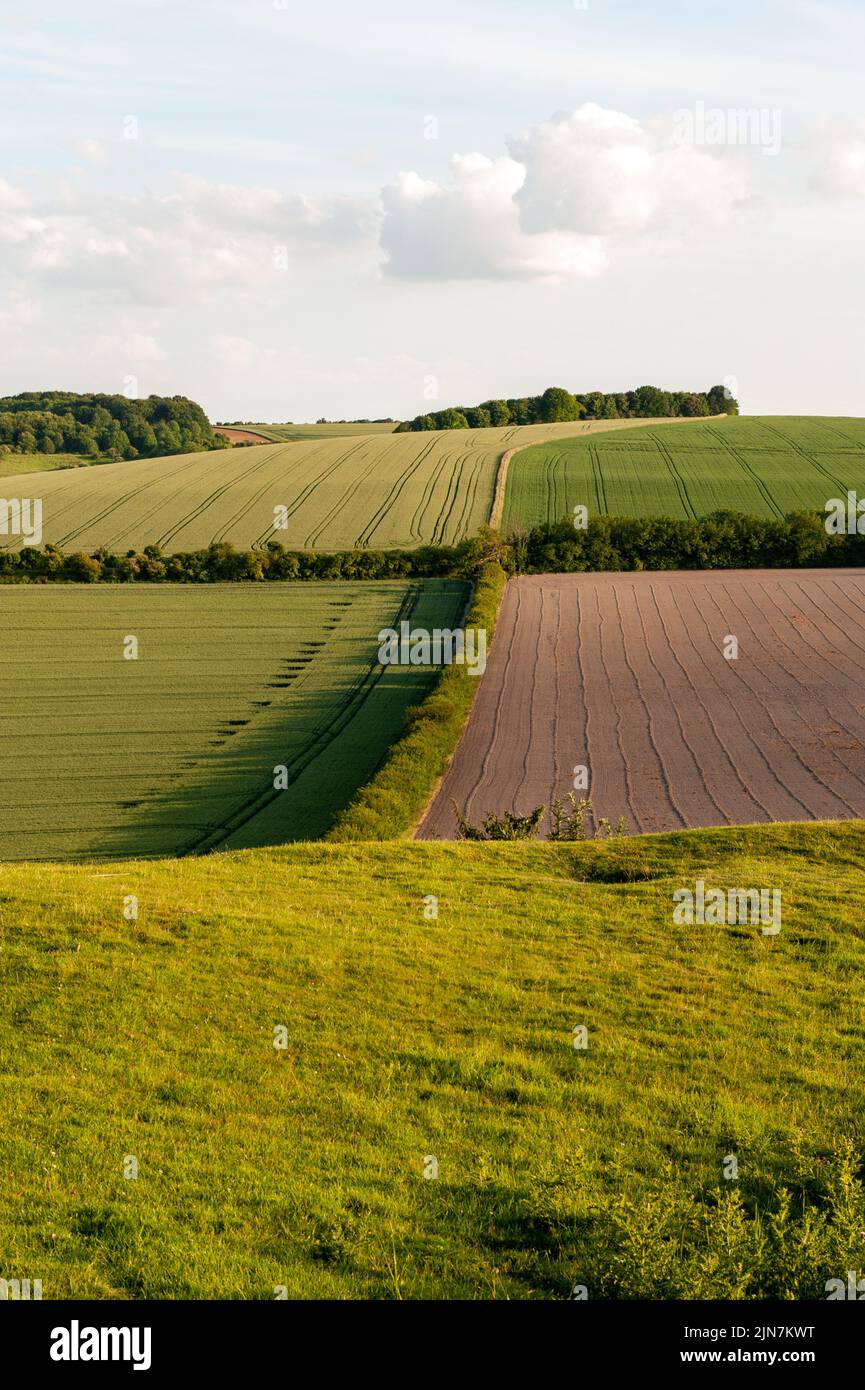 Rolling Oxfordshire fields Stock Photo - Alamy