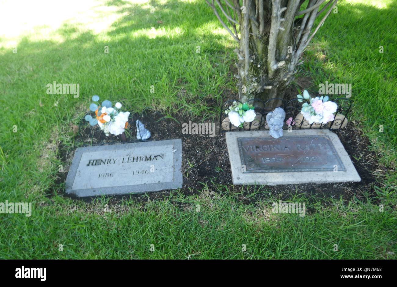 Los Angeles, California, USA 5th August 2022 Actor/Screenwriter ...