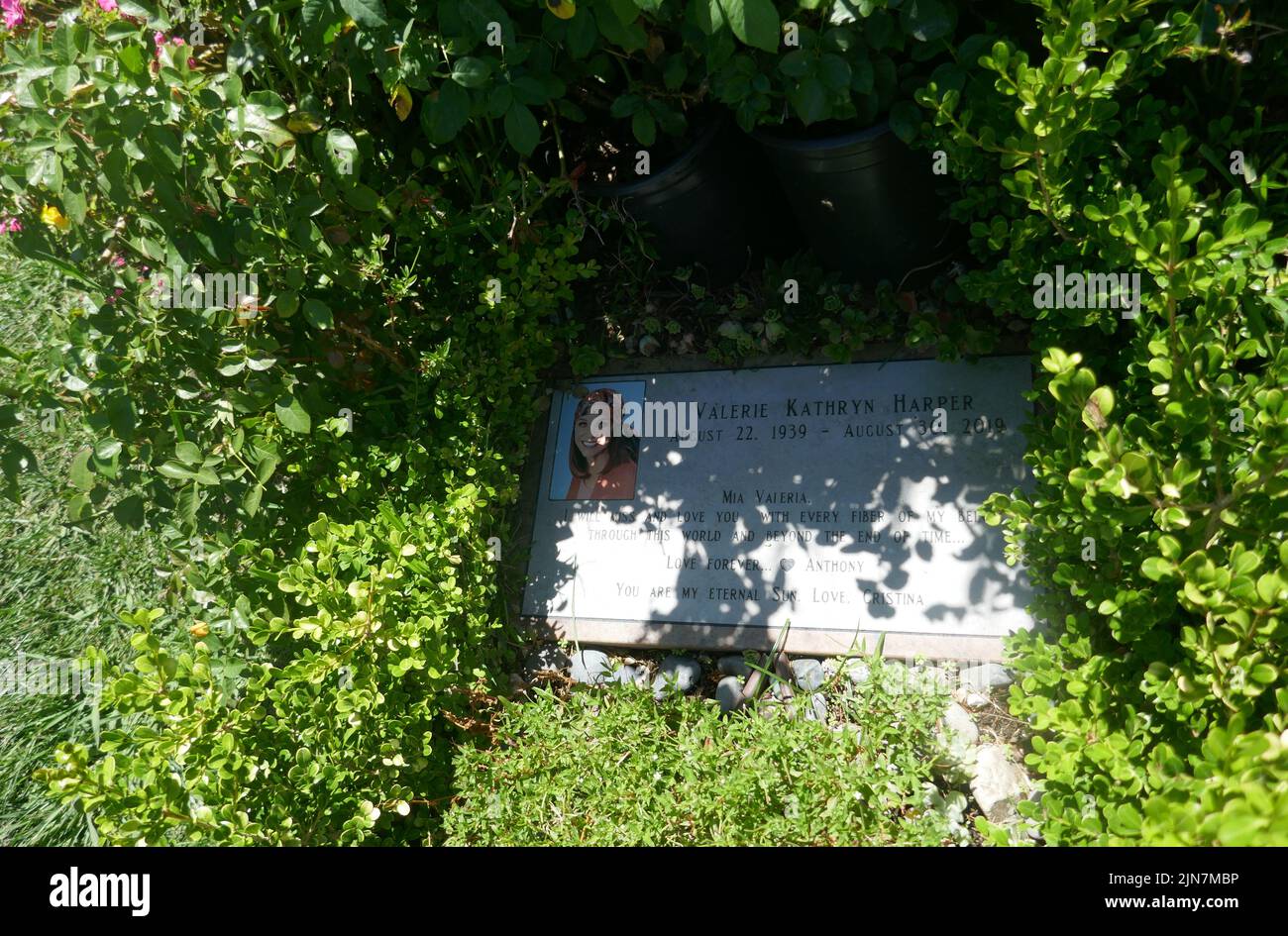 Los Angeles, California, USA 5th August 2022 Actress Valerie Harper's ...