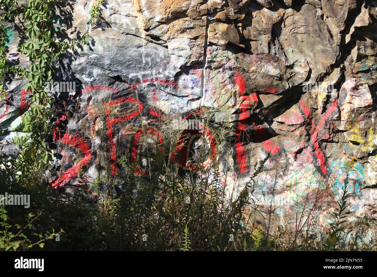 A view of roadside graffiti on a rock with plants Stock Photo - Alamy