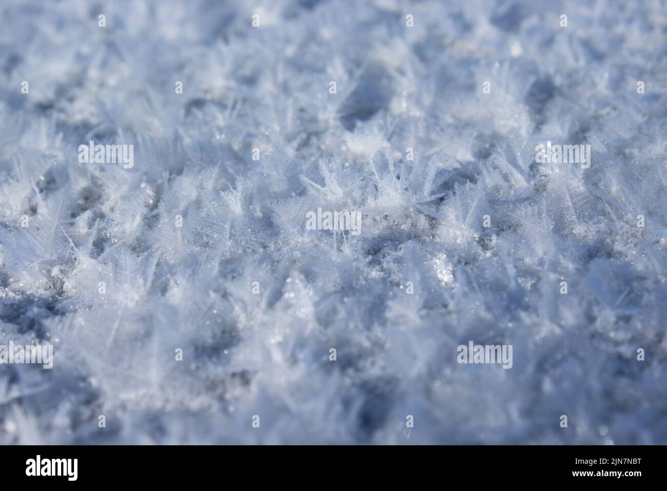 Snow Flakess On The Ground Stock Photo - Alamy