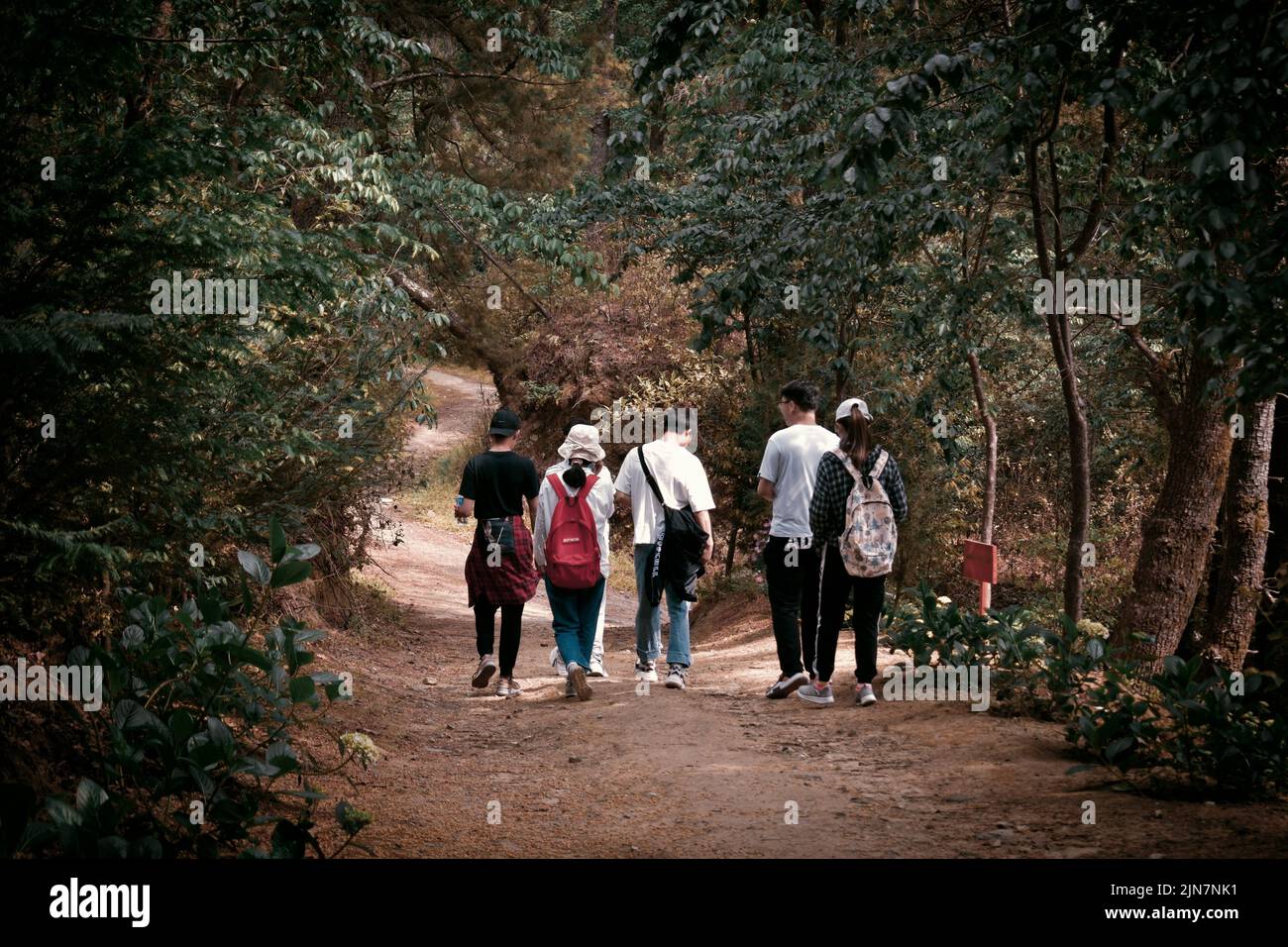 A group of people walking through a path surrounded by vegetation and ...